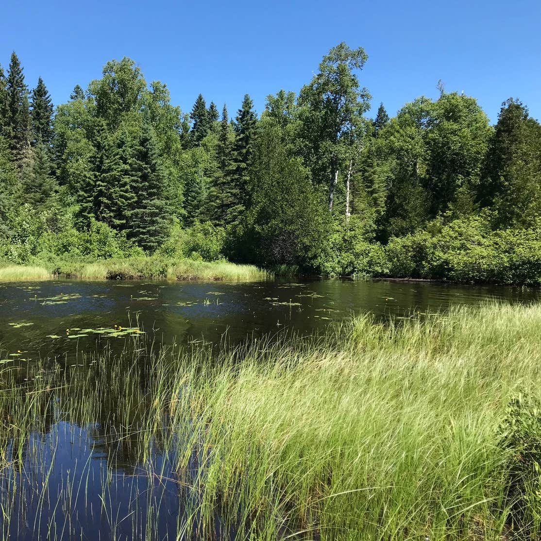 North Sonju Lake Camping | Finland, MN