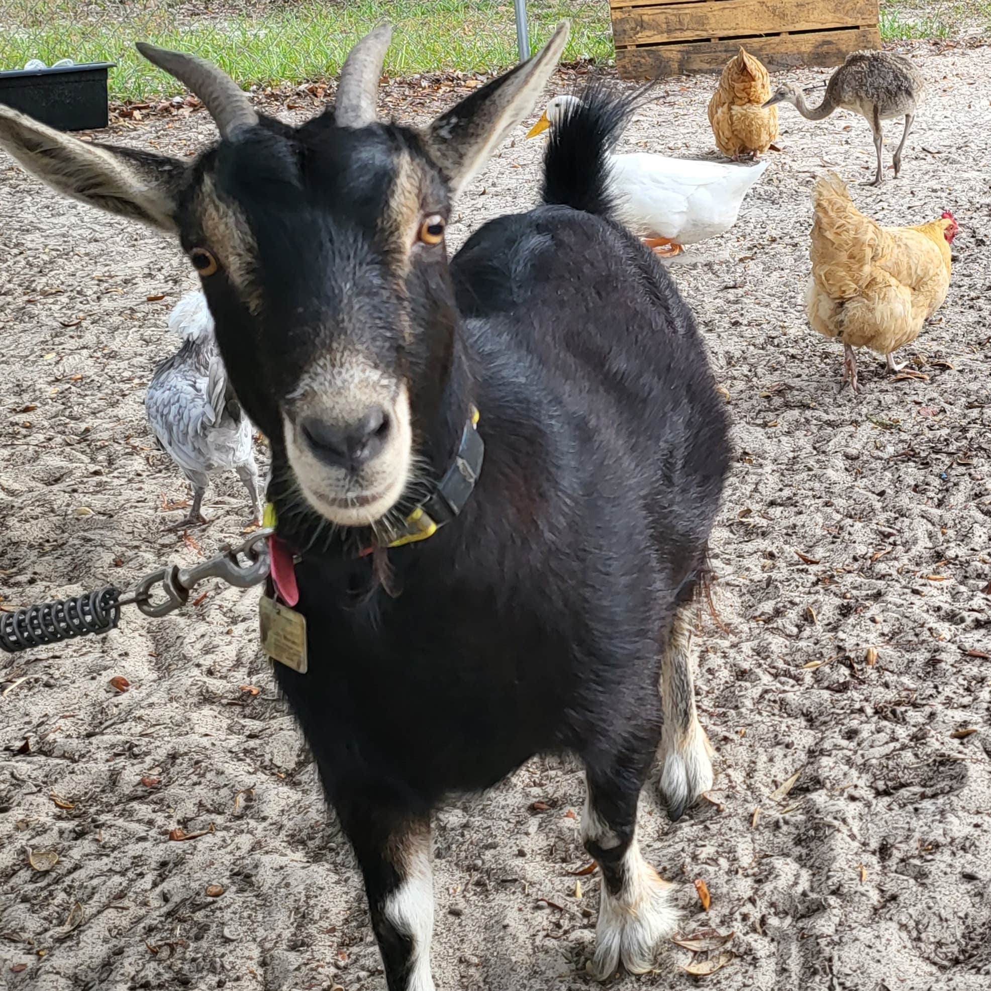 Happy Campers Rescue Ranch Camping | The Dyrt