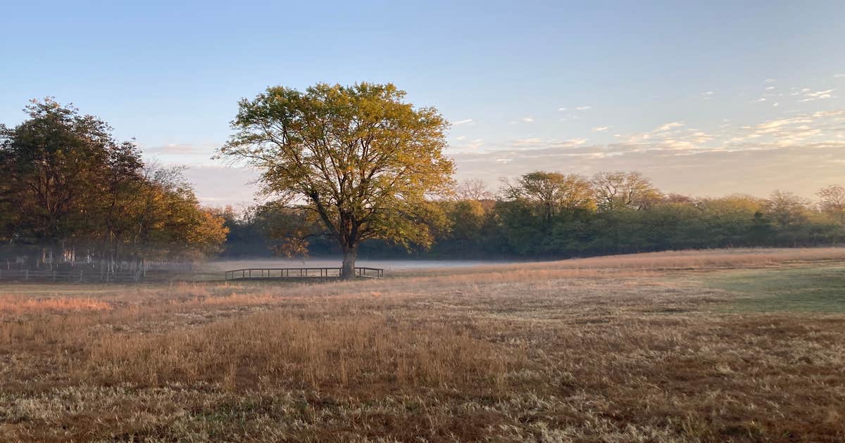 Peacock in the Delta Camping | Benoit, MS