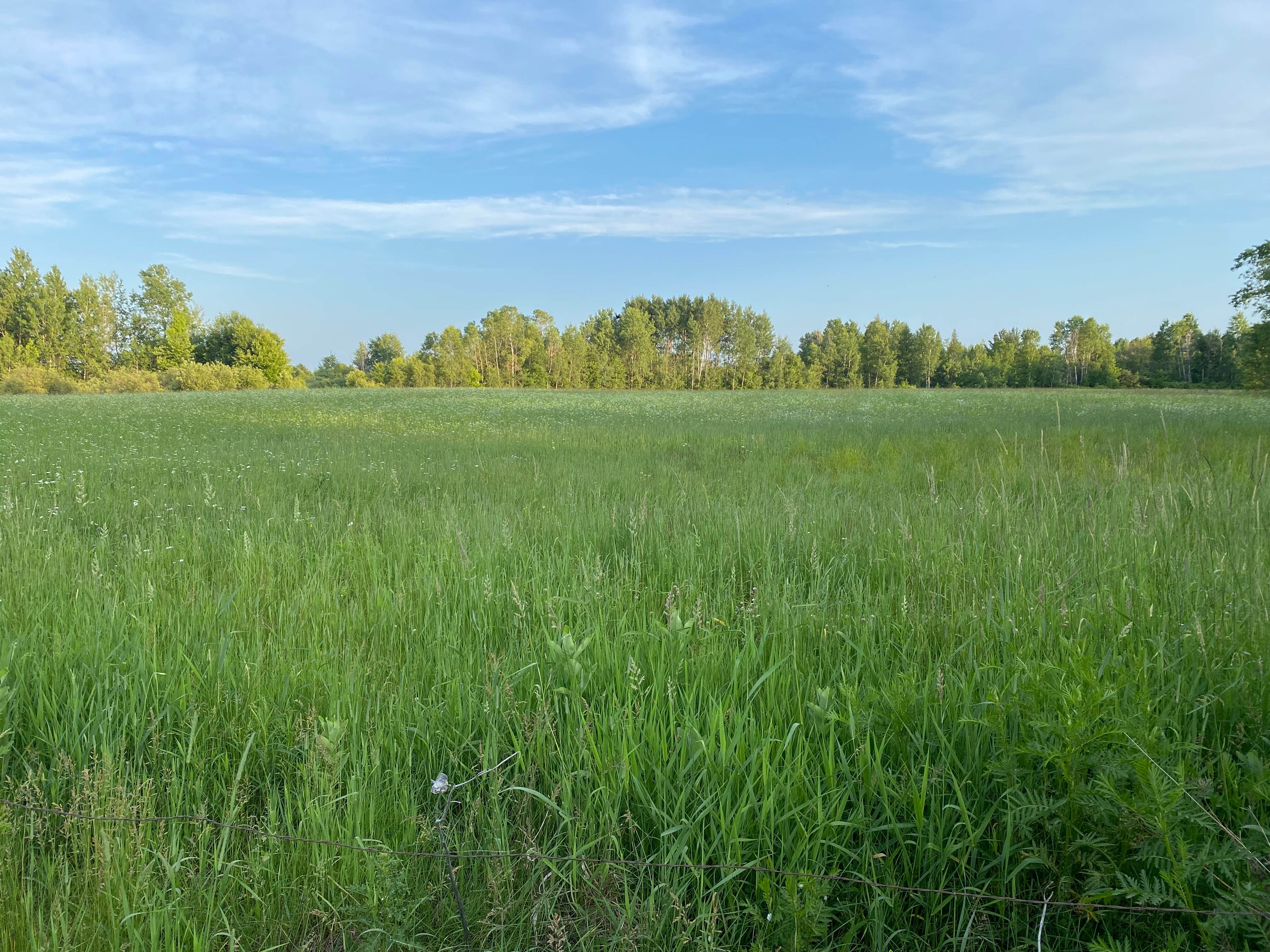 Bloomville Farmstead Camping | Gleason, WI