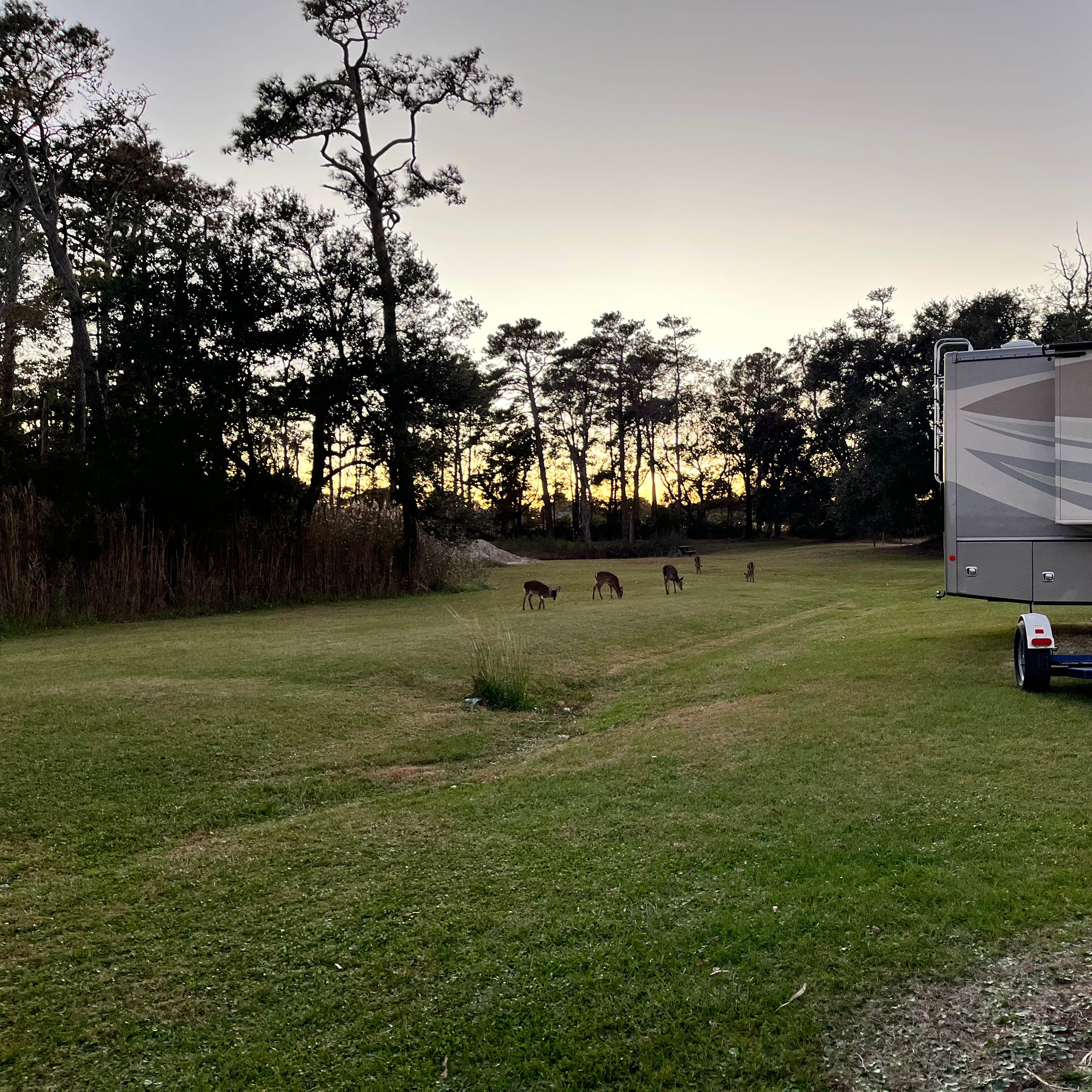 OBX Campground | Kill Devil Hills, NC