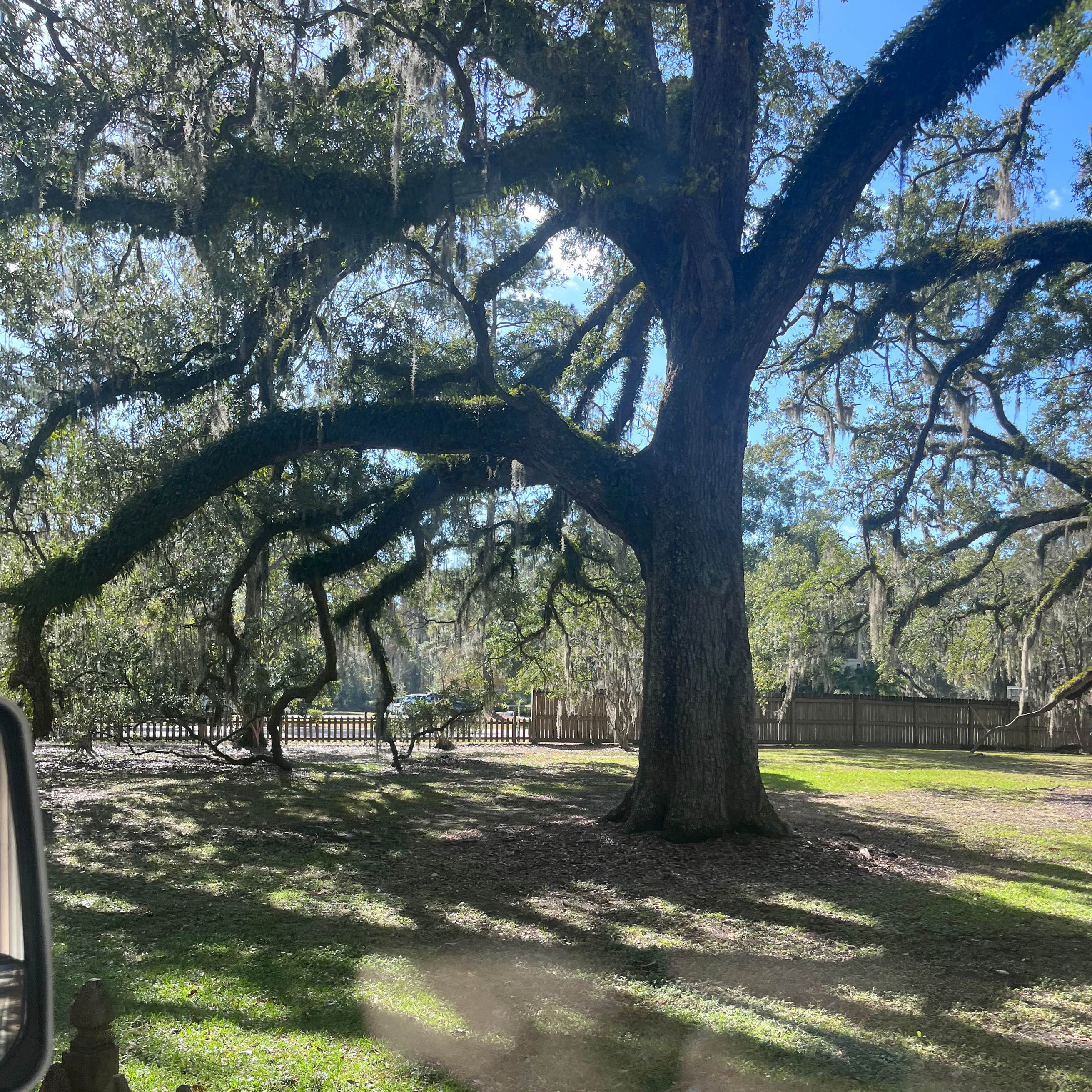 Fairview-Riverside State Park Camping | Madisonville, Louisiana