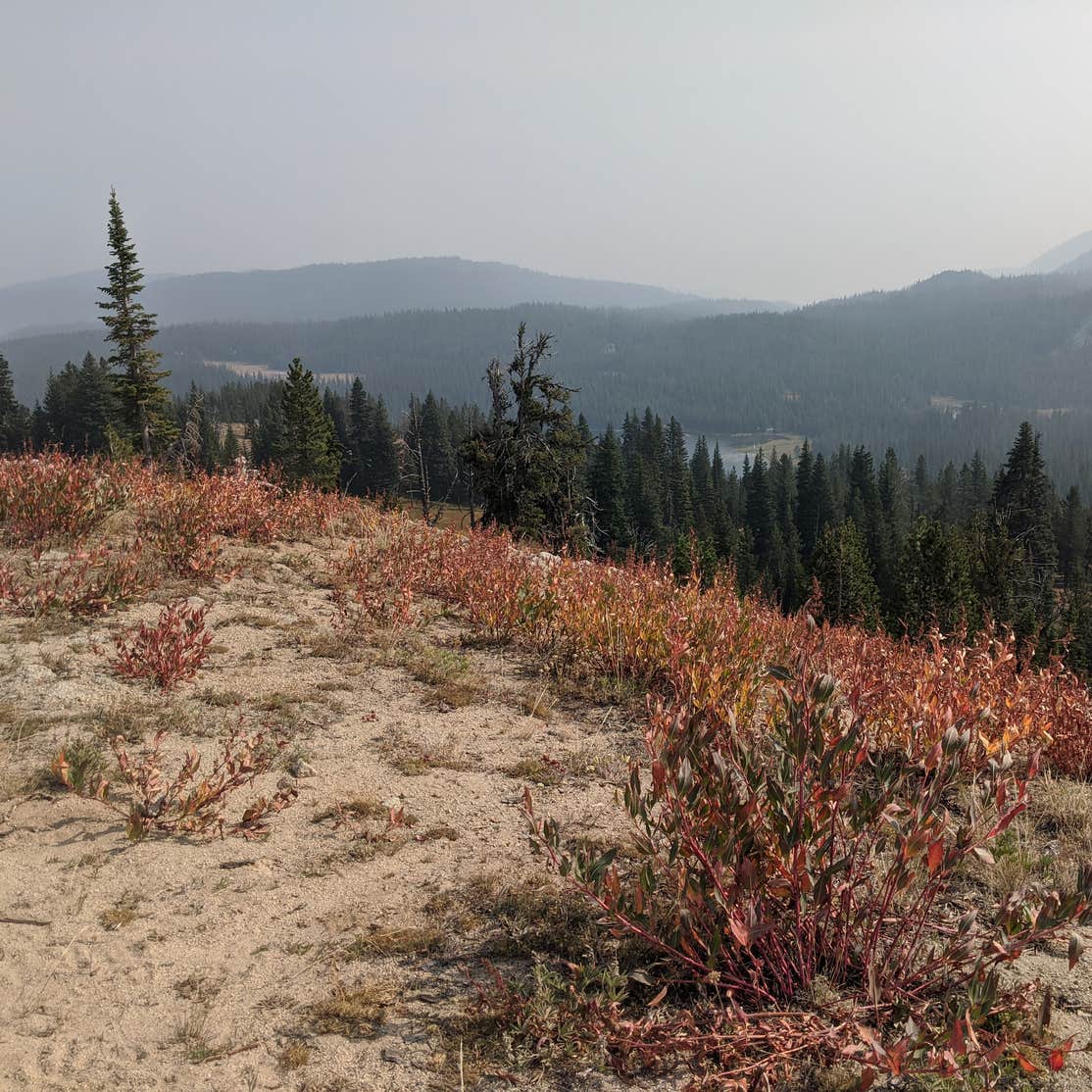 Anthony Lake Campground | North powder, OR