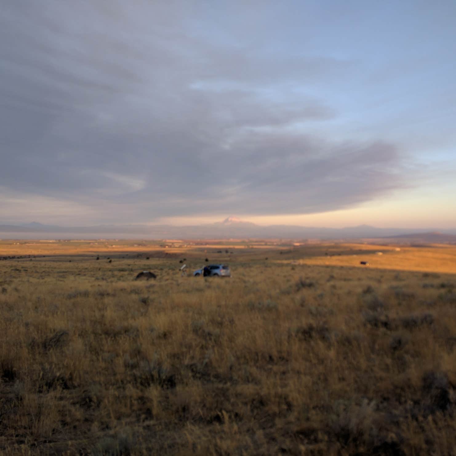 Crooked River National Grasslands Dispersed Camping Camping | The Dyrt