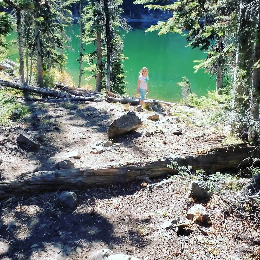 Seven Devils Campground Camping | The Dyrt