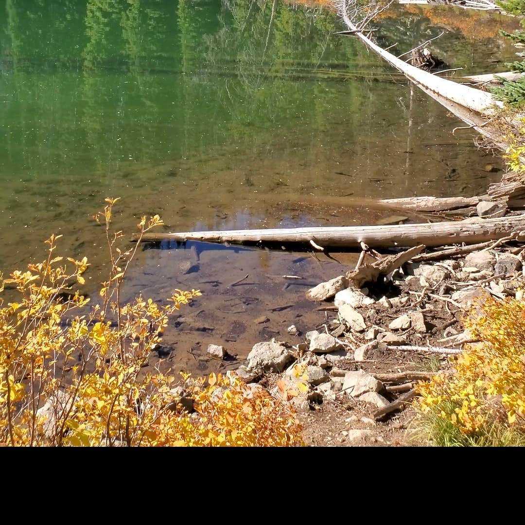 Seven Devils Campground | Pollock, Idaho