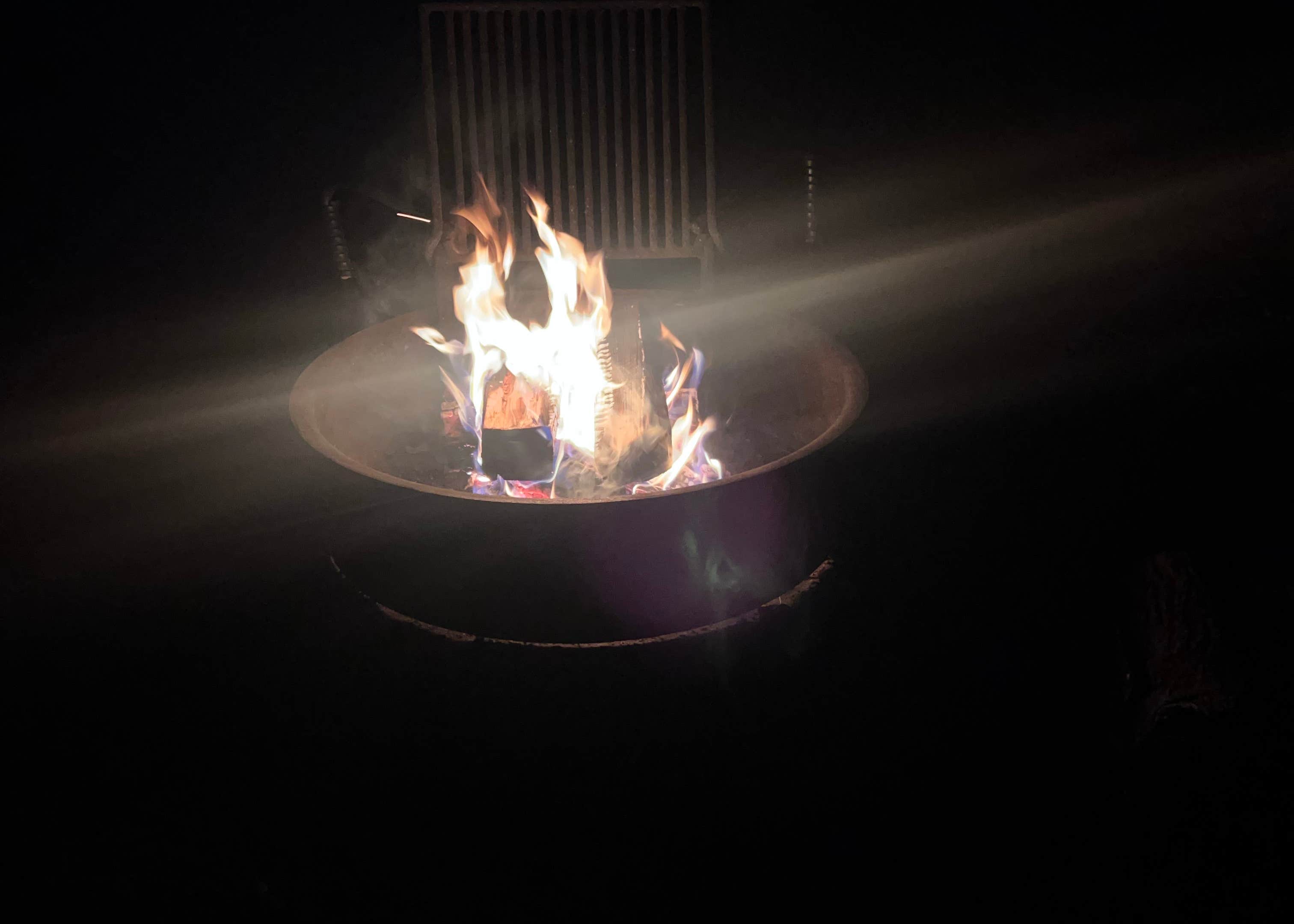 JC Cooper Campground Camping | The Dyrt