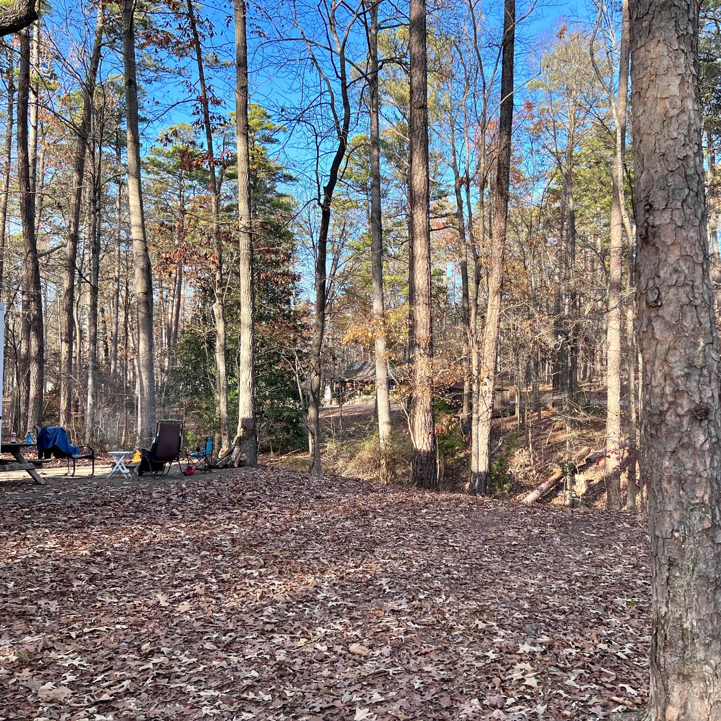 Kings Mountain — Kings Mountain State Park Camping | Kings Mountain, SC