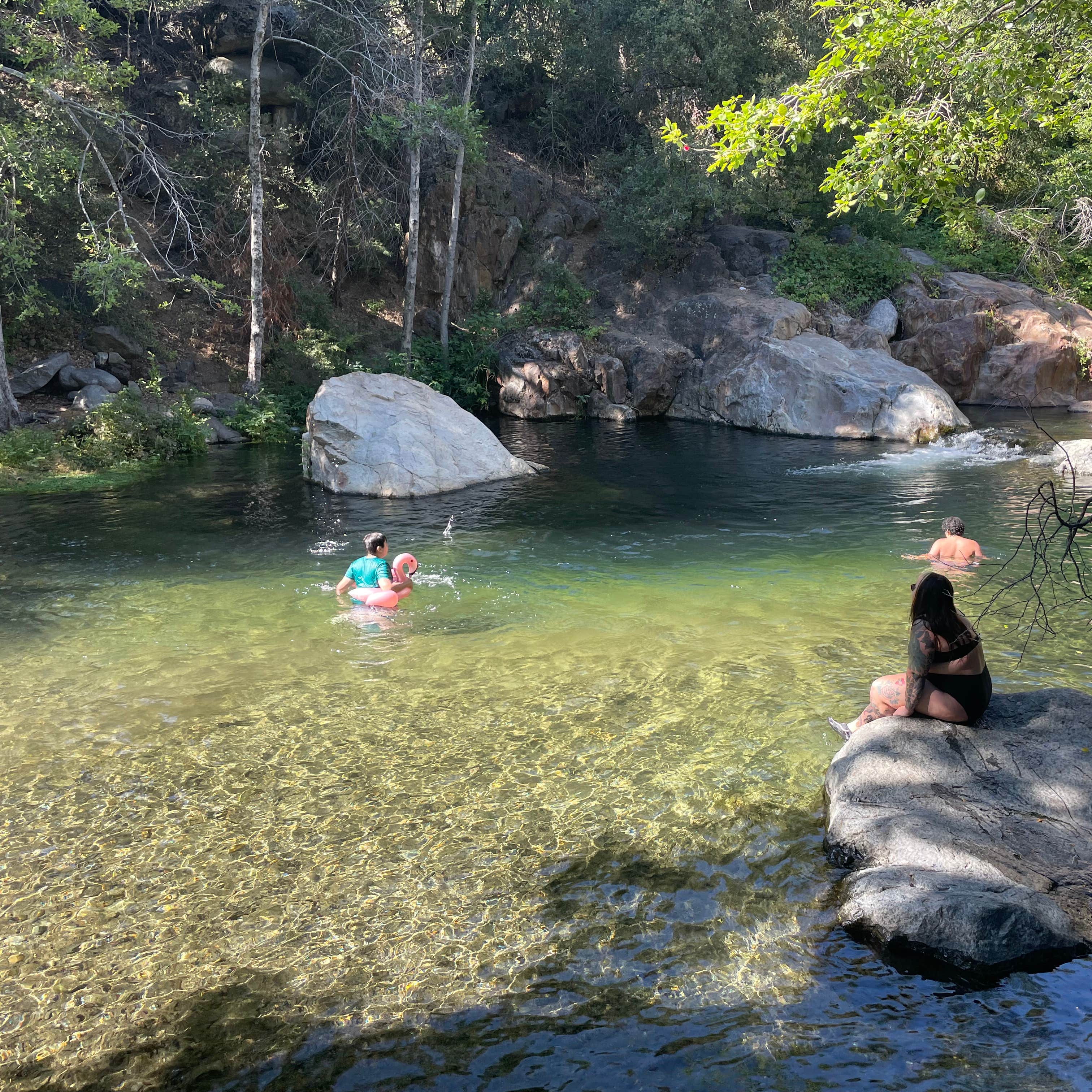 Wishon Campground | Camp Nelson, California