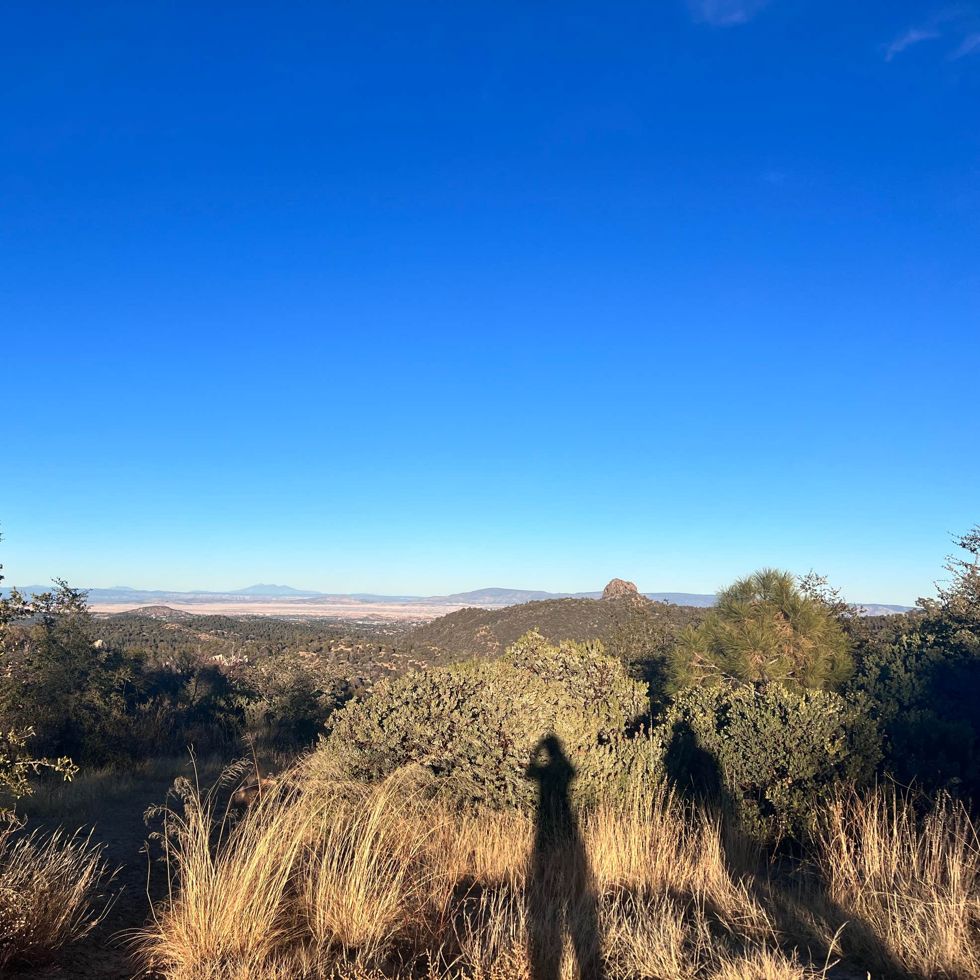 FDR 373 Thumb Butte Loop Camping | Prescott National Forest, Arizona