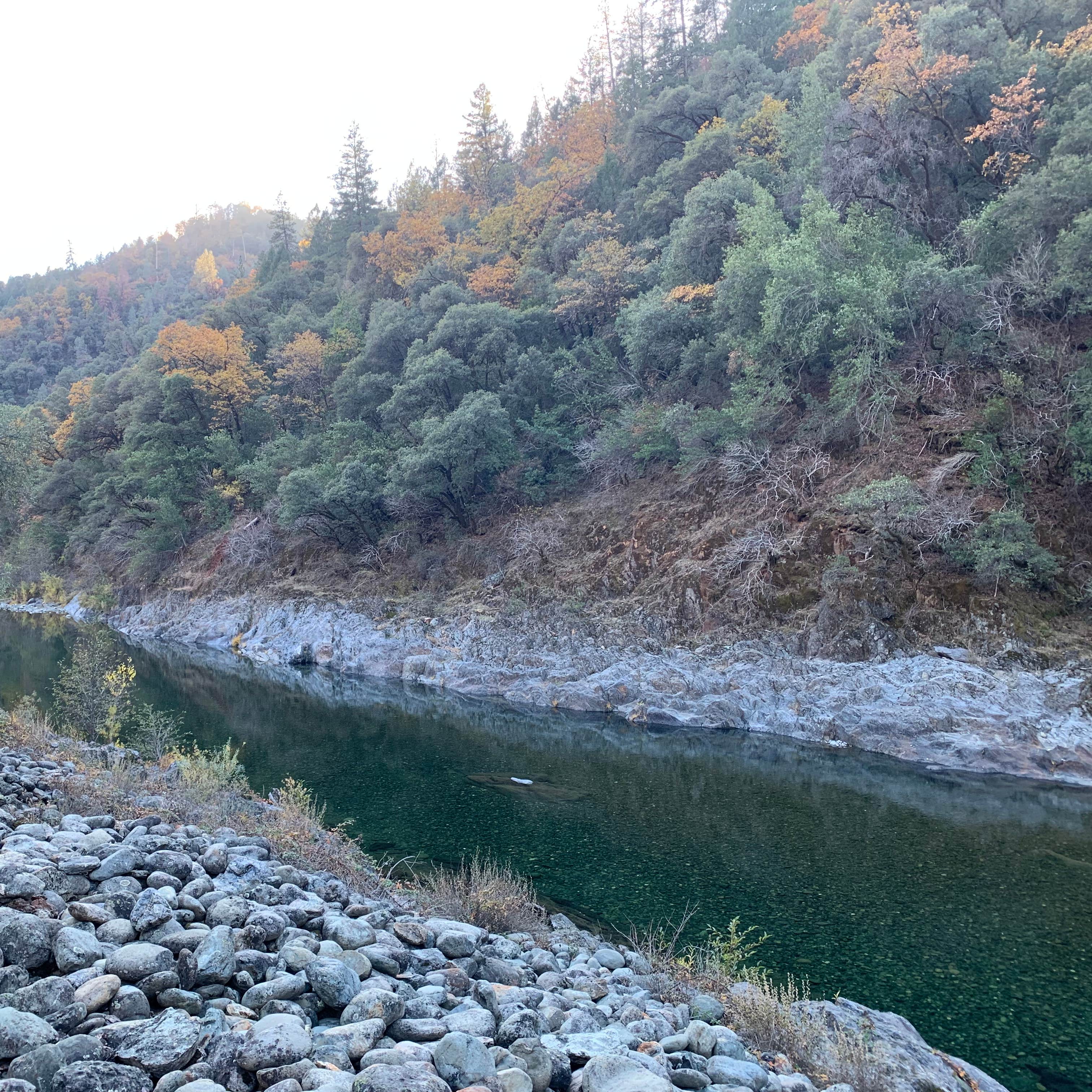 Mineral Bar Campground Camping | The Dyrt