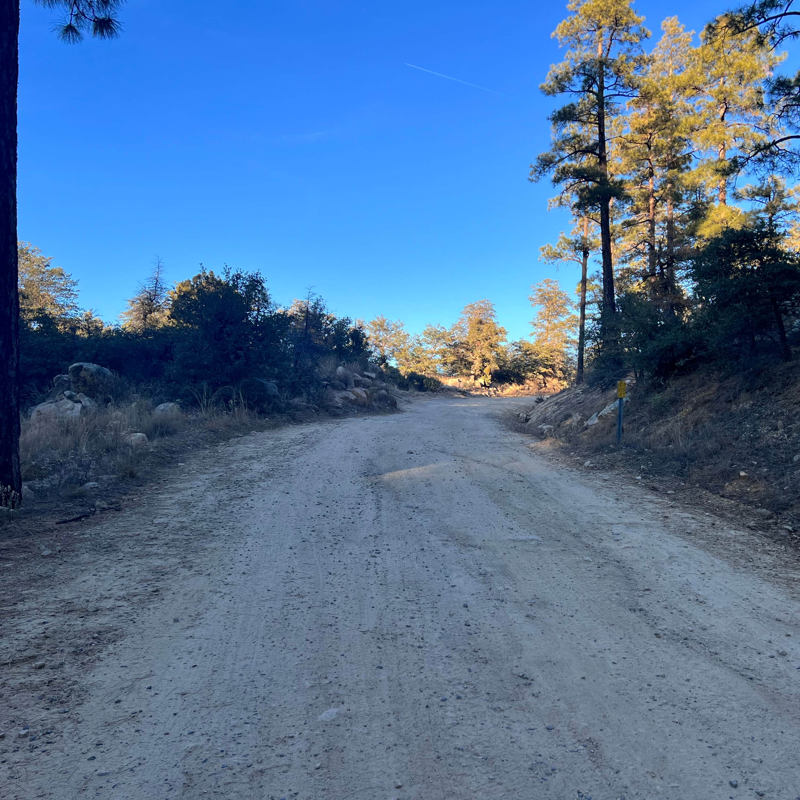FDR 373 Thumb Butte Loop Camping | Prescott National Forest, Arizona