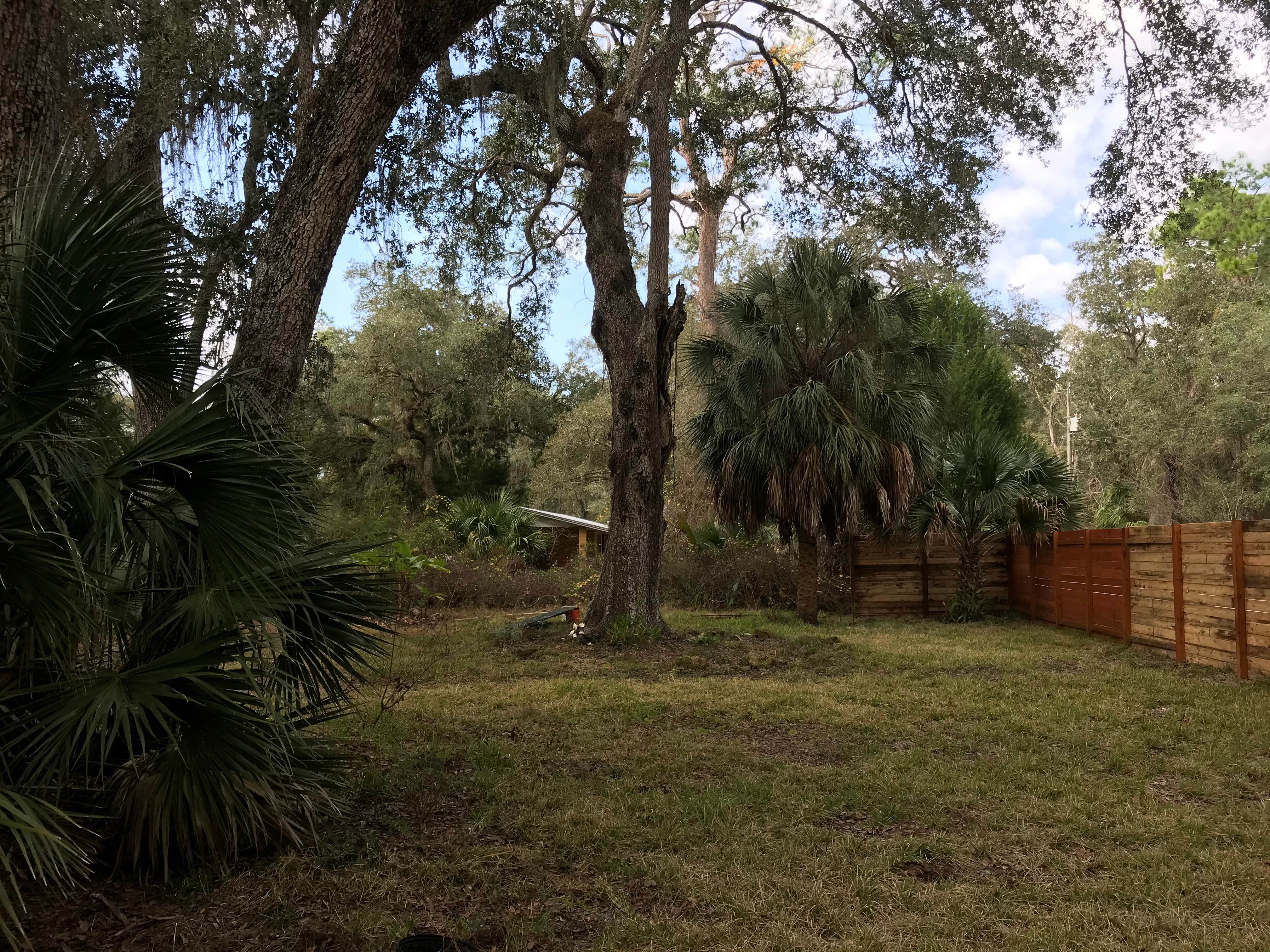 Pines and Palms Homestead Camping | Fanning Springs, FL
