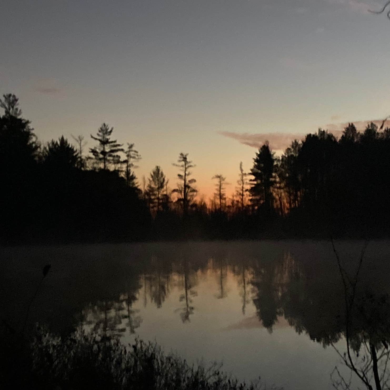 Spring Lake State Forest Campground Camping | The Dyrt