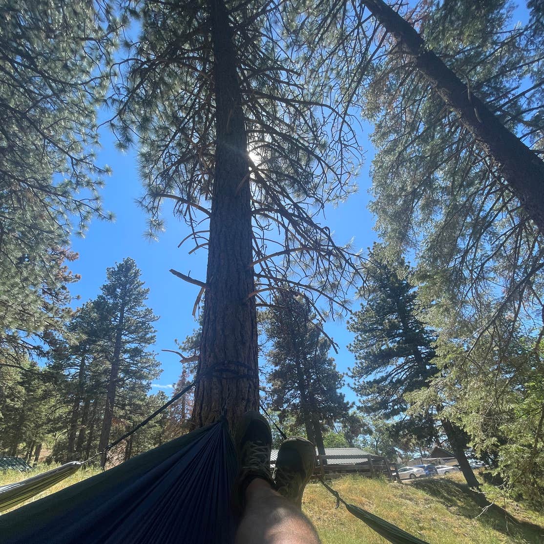 Tehachapi Mountain Park Camping | Tehachapi, California