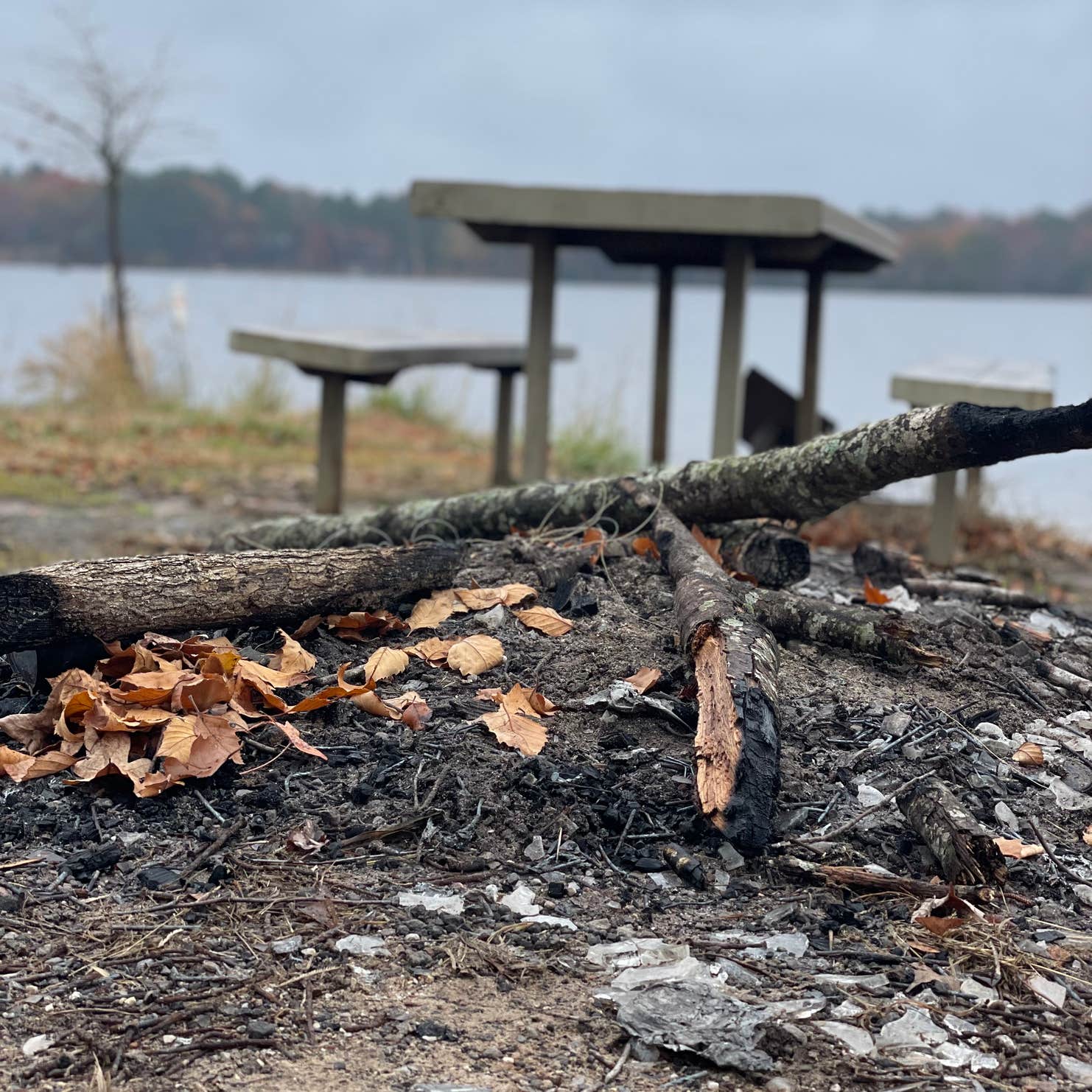 Lake Holbrook Park - South Camping | Mineola, Texas