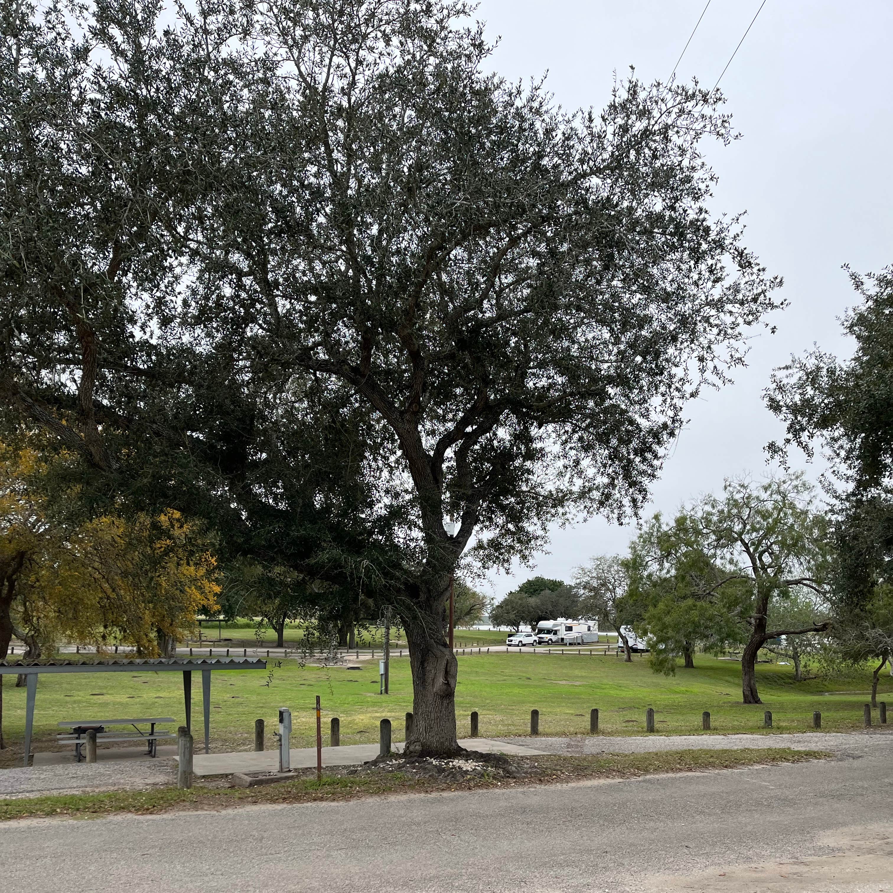 Lake Corpus Christi State Park Campground | Mathis, TX