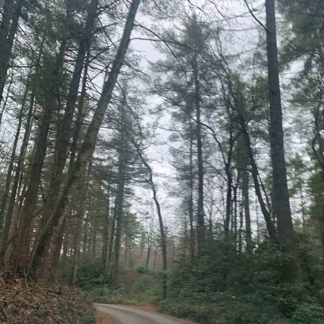Ammons Branch Campground | Highlands, North Carolina