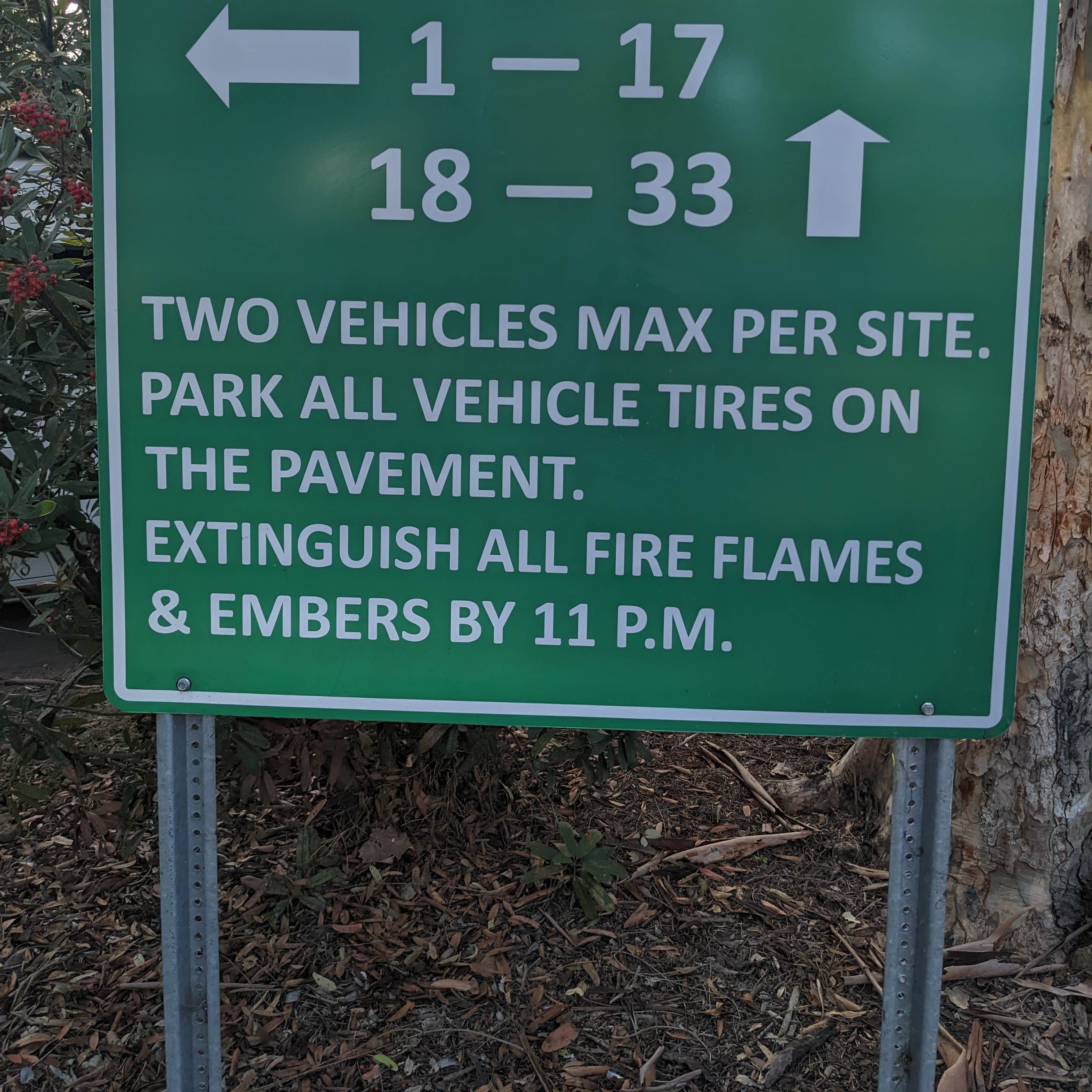 Guajome Regional Park Camping | Oceanside, California