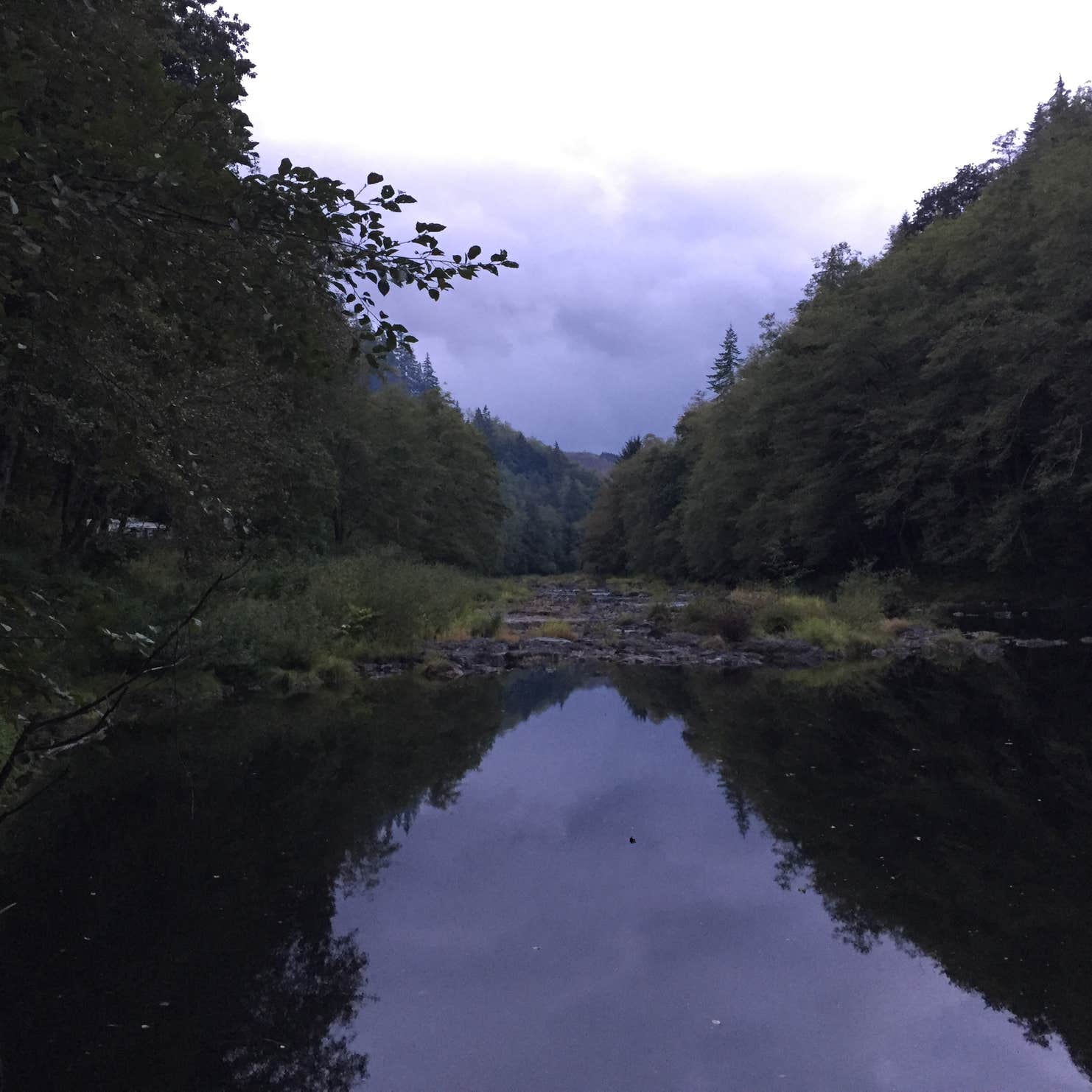Henry Rierson Spruce Run Campground Camping | The Dyrt