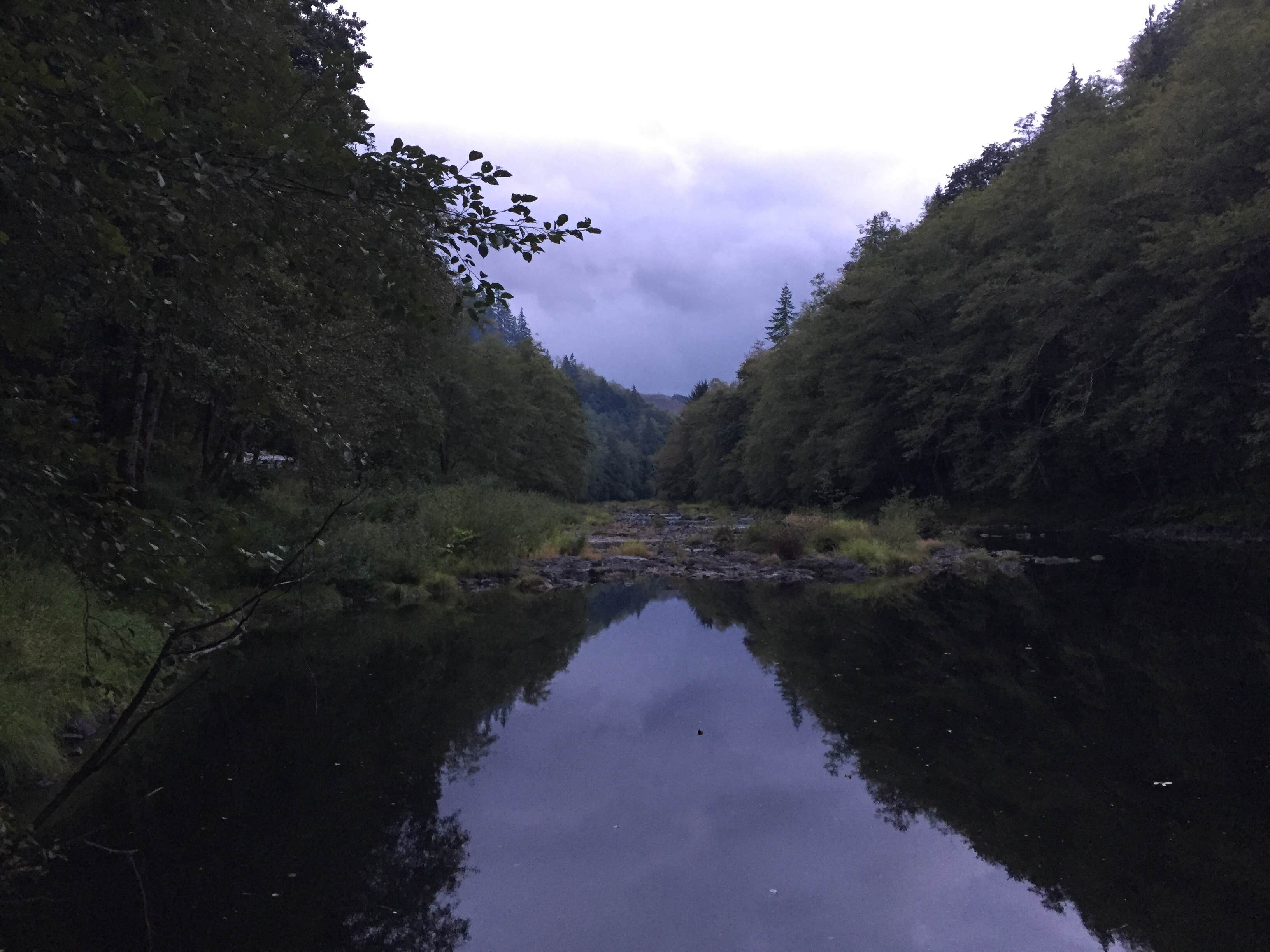 Henry Rierson Spruce Run Campground | Tillamook State Forest, Oregon
