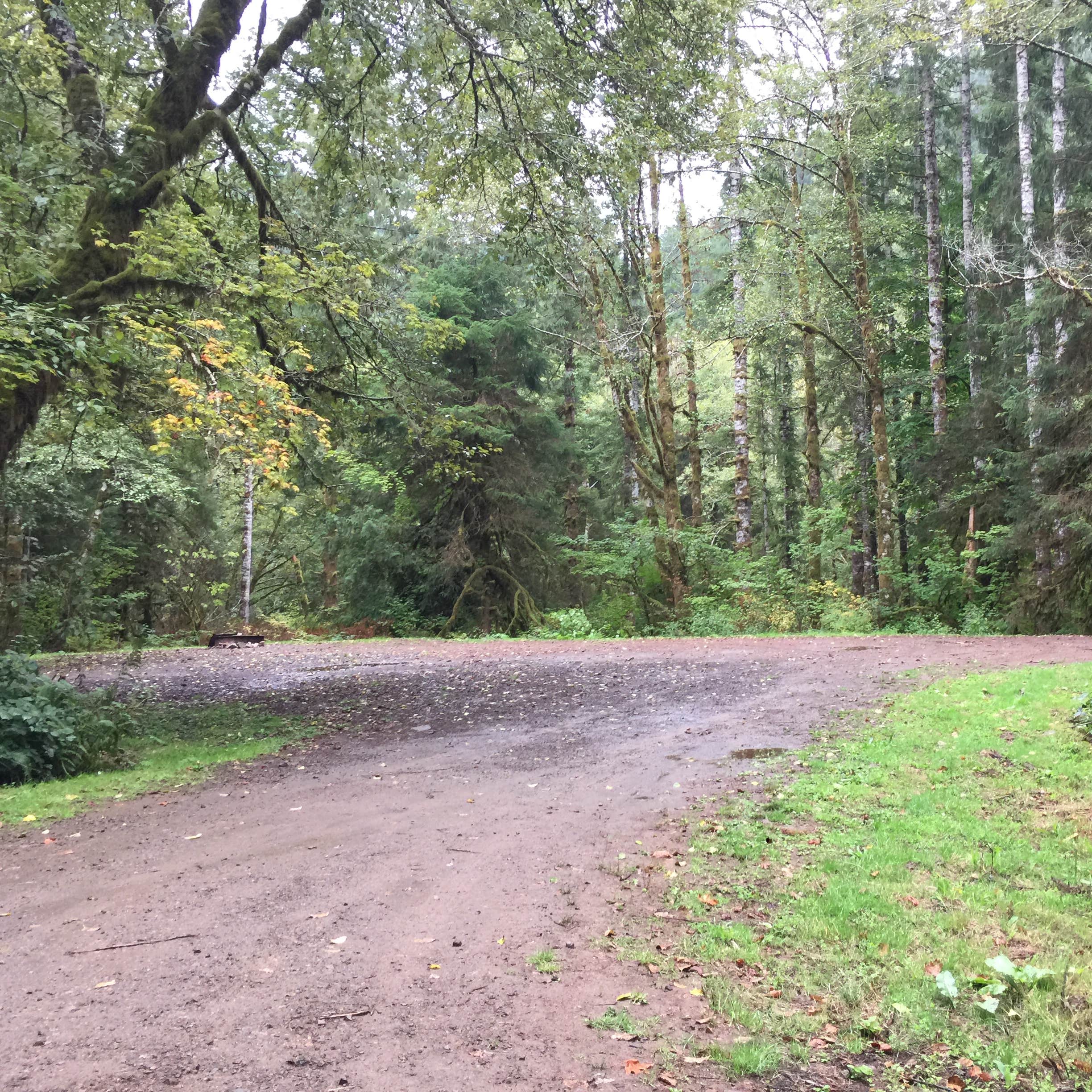 Cook Creek Camping | The Dyrt