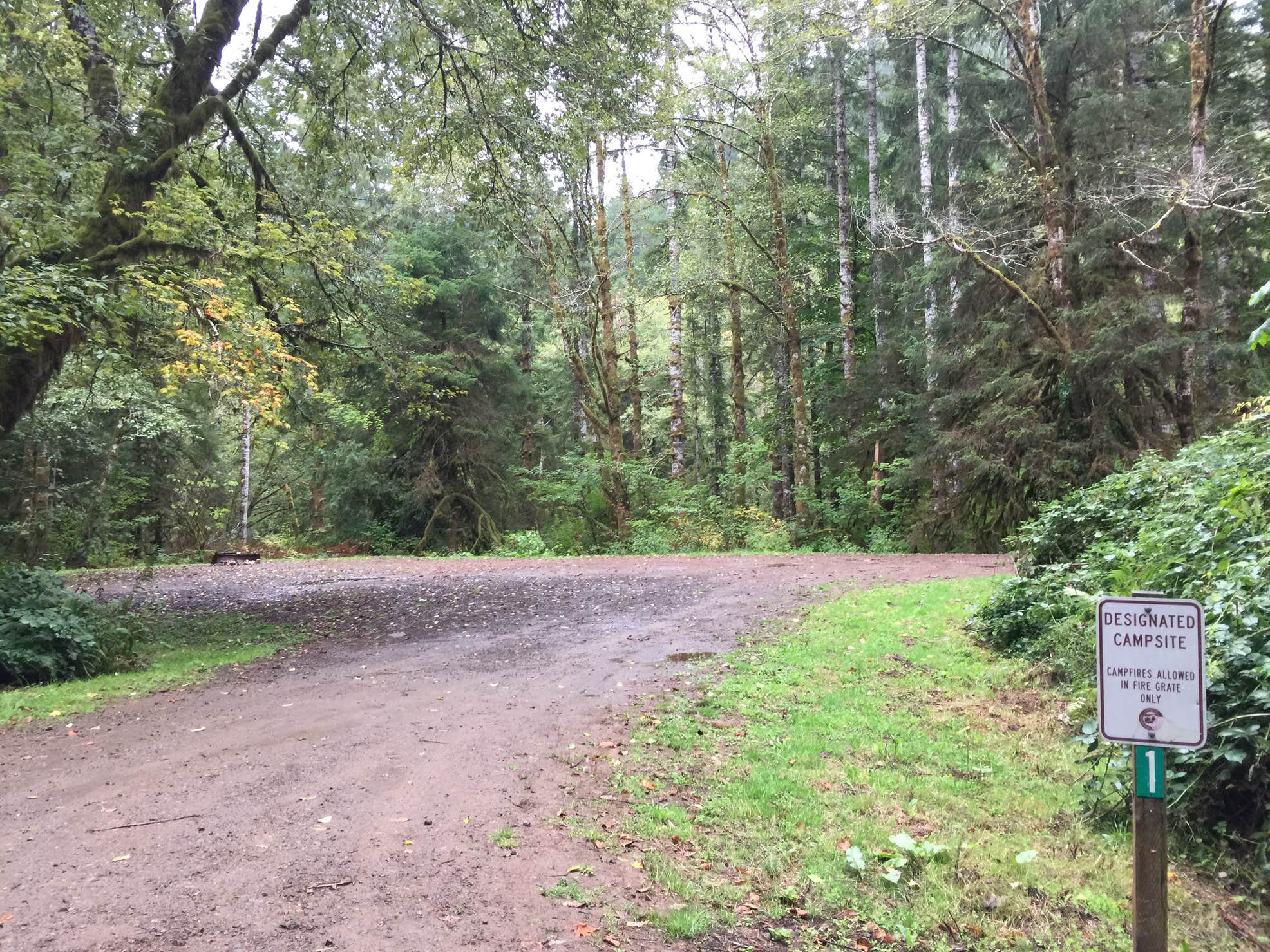 Cook Creek | The Dyrt