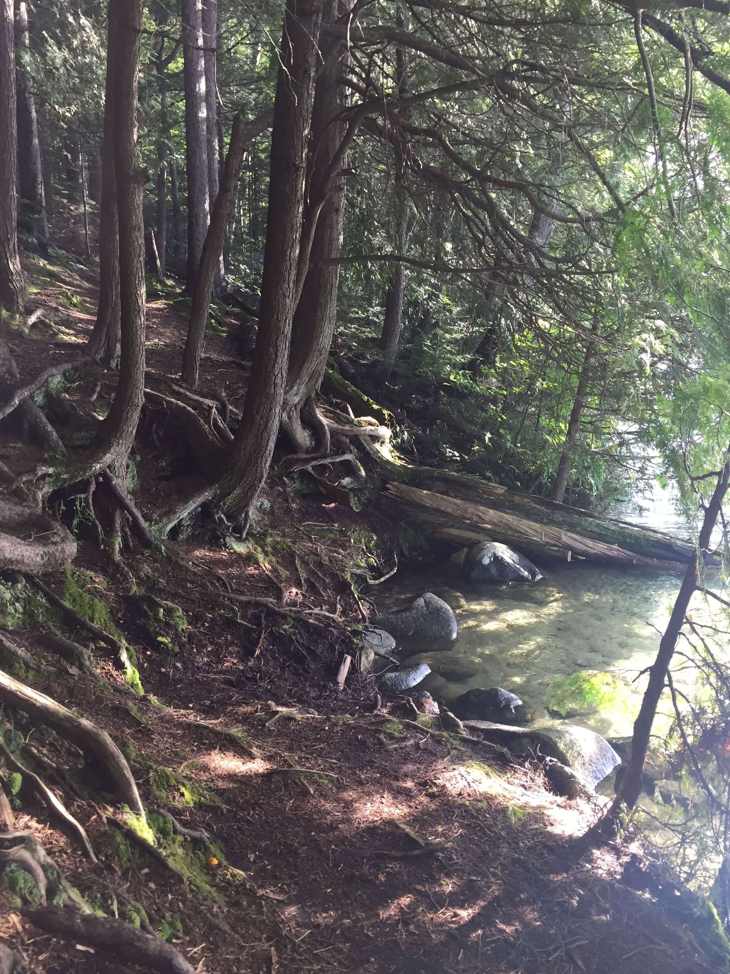 Maidstone State Park — Maidstone State Forest Camping | Groveton, New ...