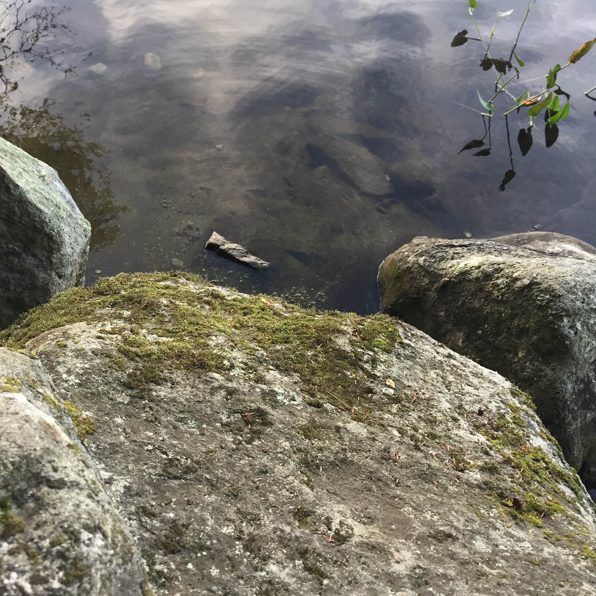 Ricker Pond State Park Campground | Groton, Vermont