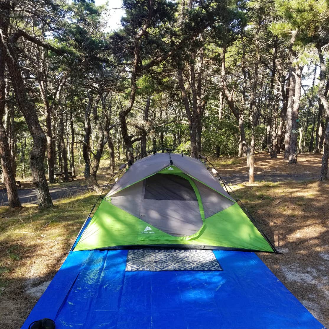 North of Highland Camping Area Camping | The Dyrt