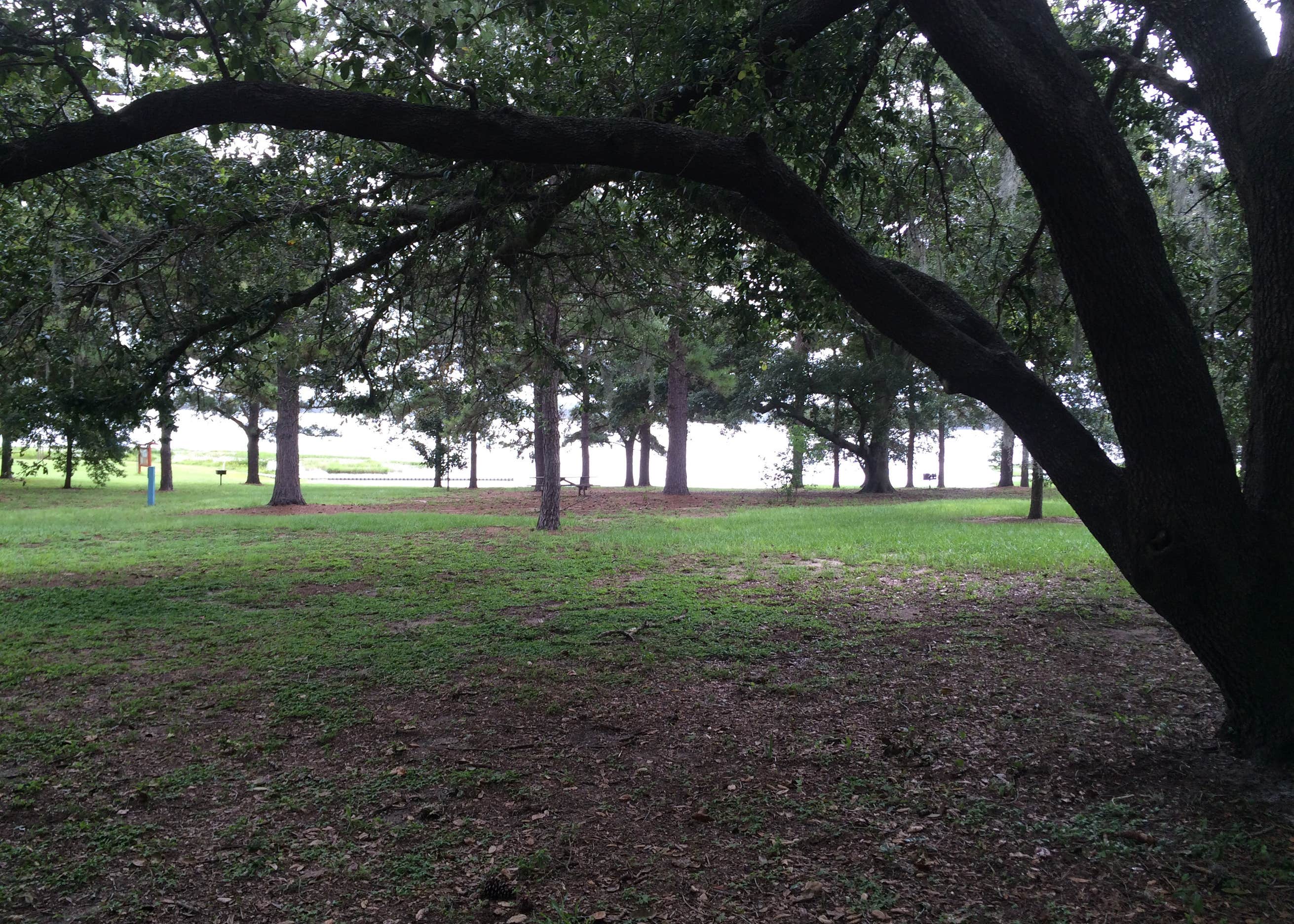 Bill Frederick Park at Turkey Lake Camping | The Dyrt