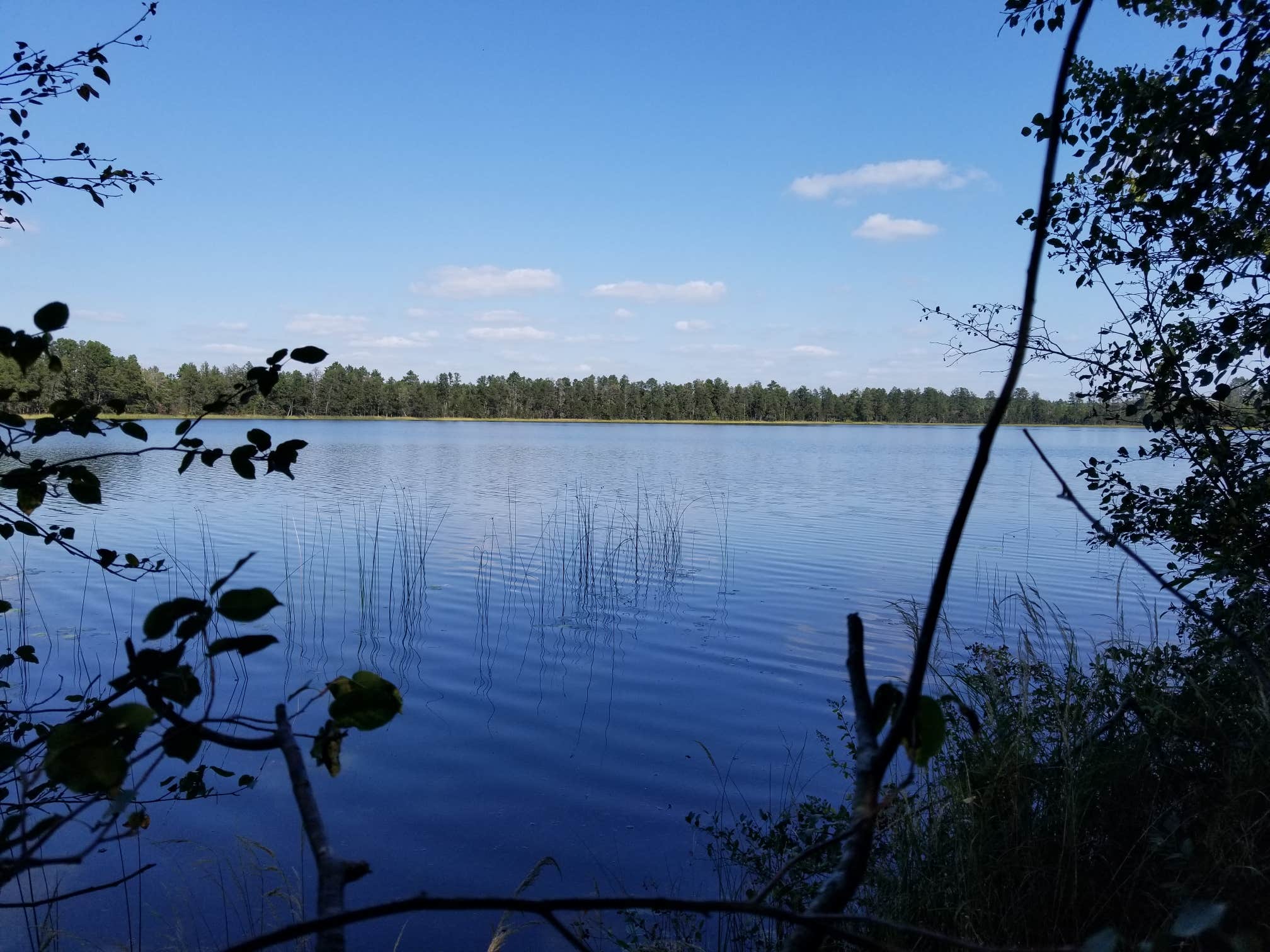 Muskrat Lake State Forest Campground | Lewiston, MI