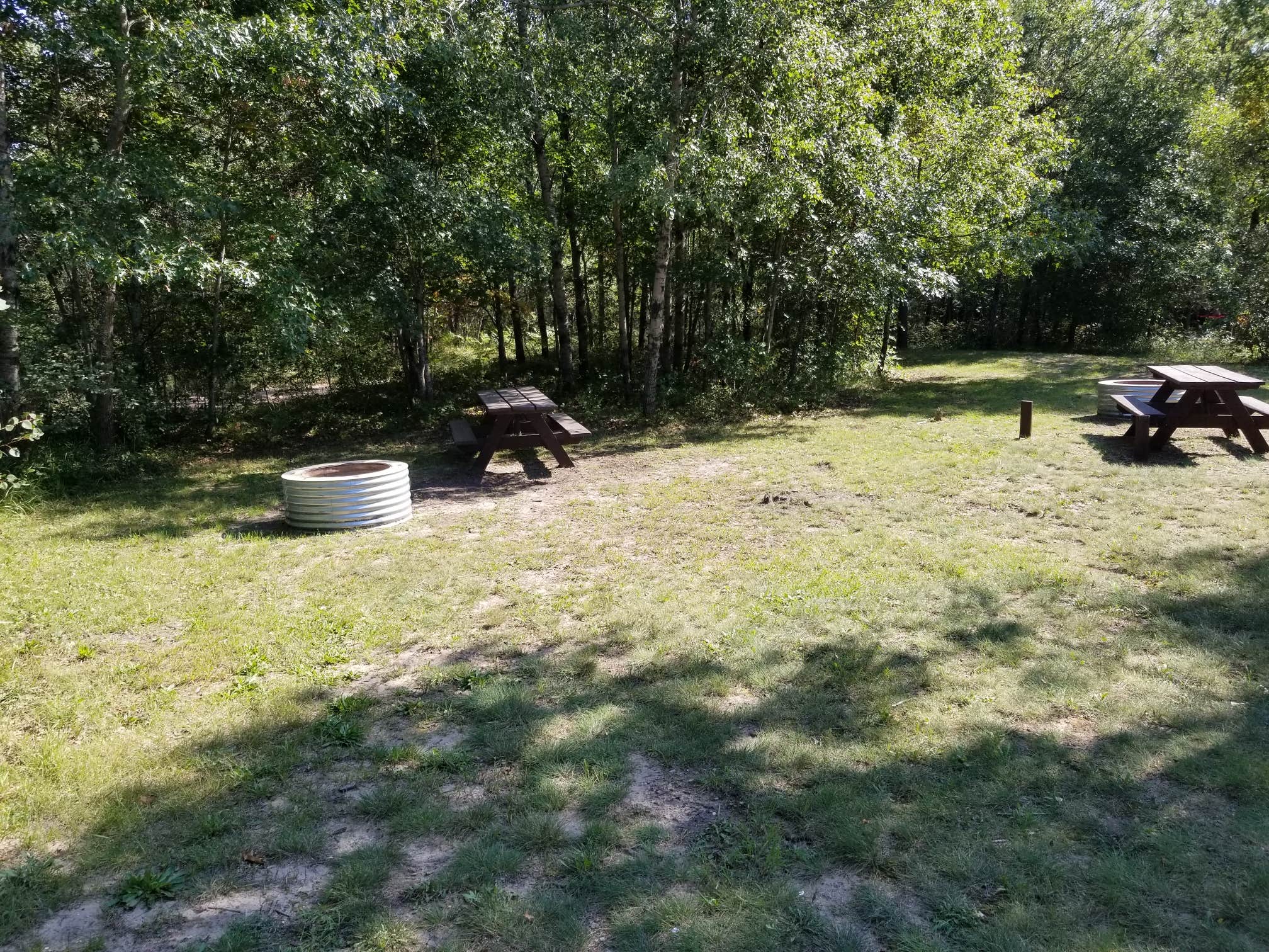 Muskrat Lake State Forest Campground | Lewiston, MI