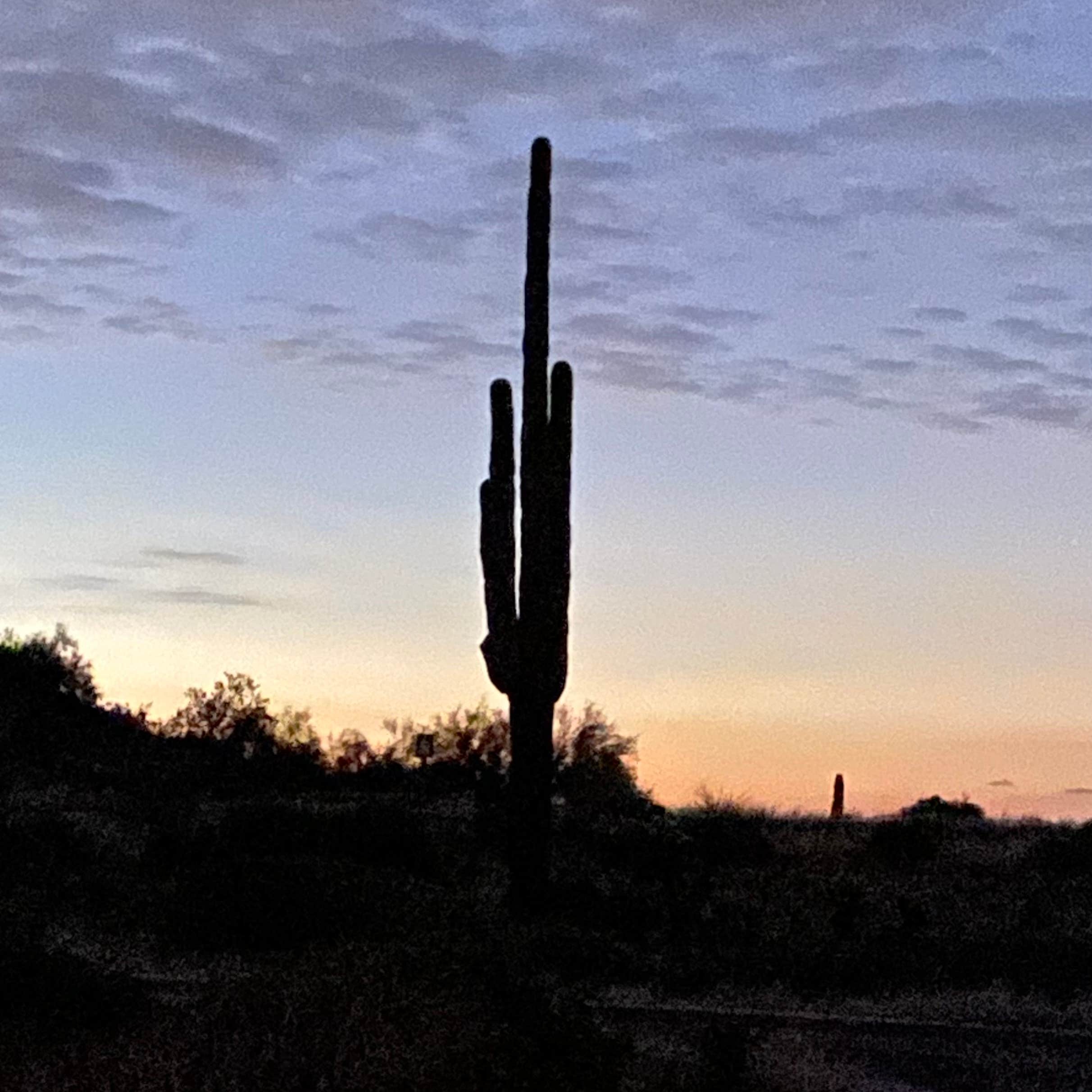 Skyline Regional Park Camping | Buckeye, Arizona