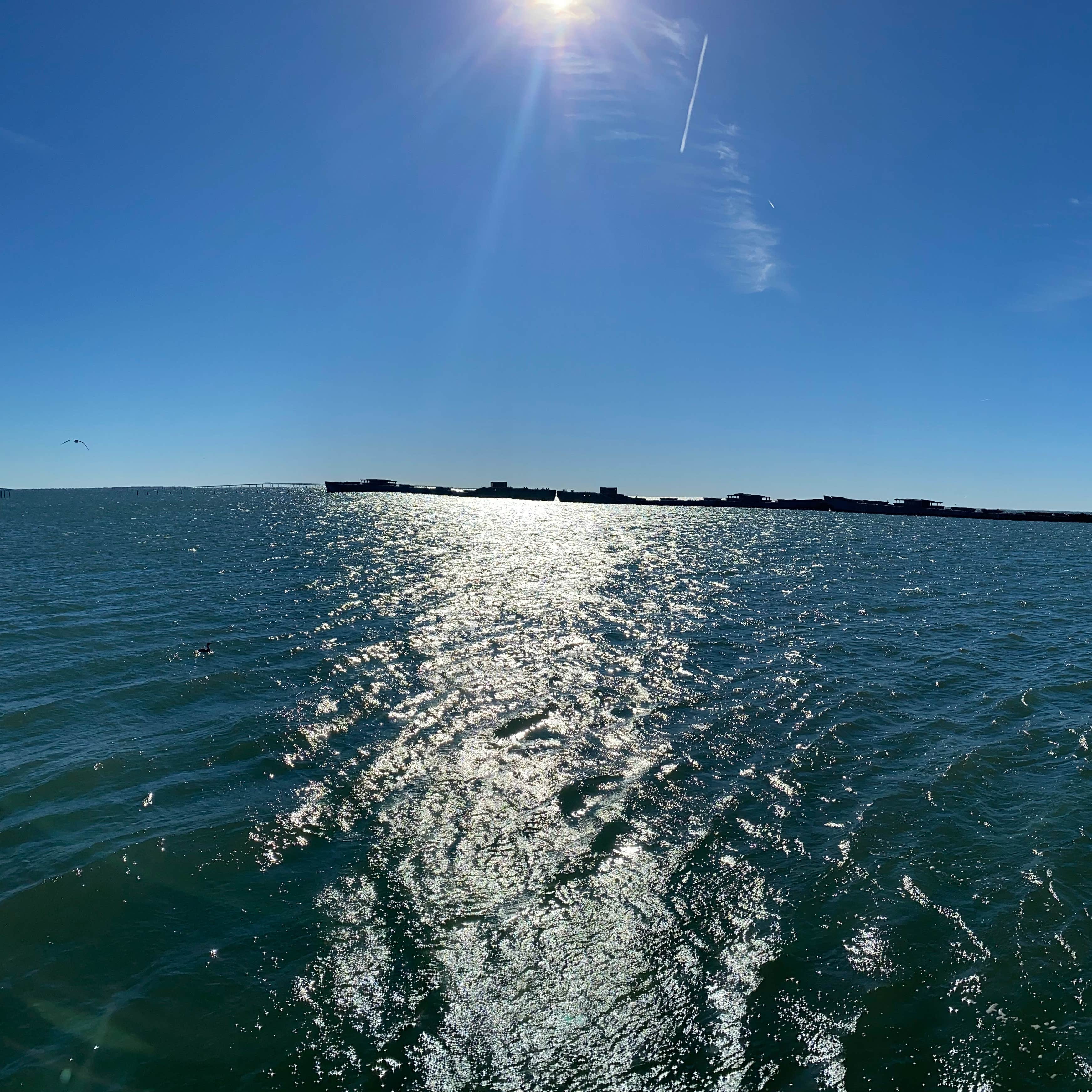 Kiptopeke State Park Campground | Cape Charles, VA