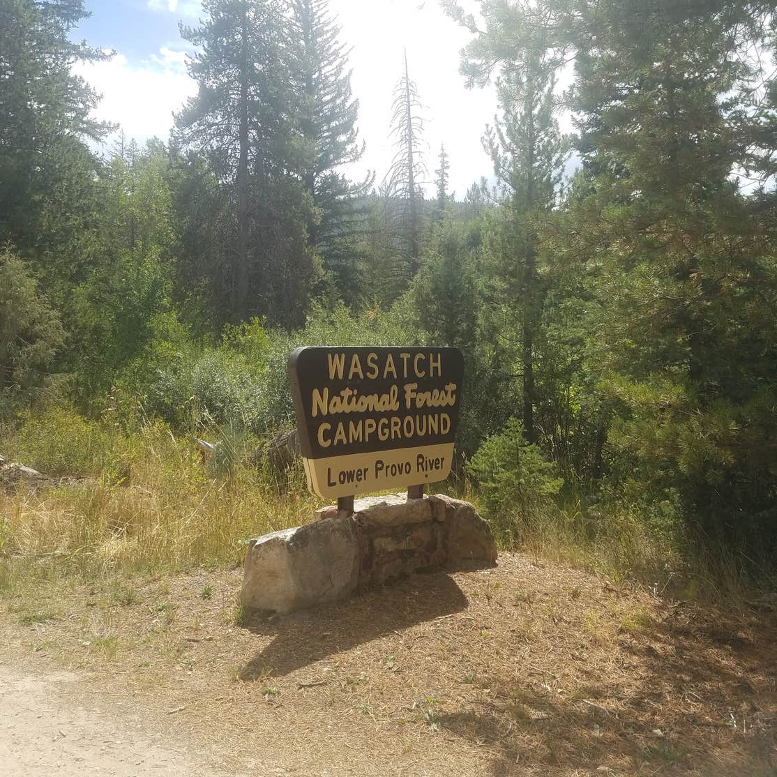 Lower Provo Campground — Uinta Wasatch Cache National Forest | Kamas, Utah