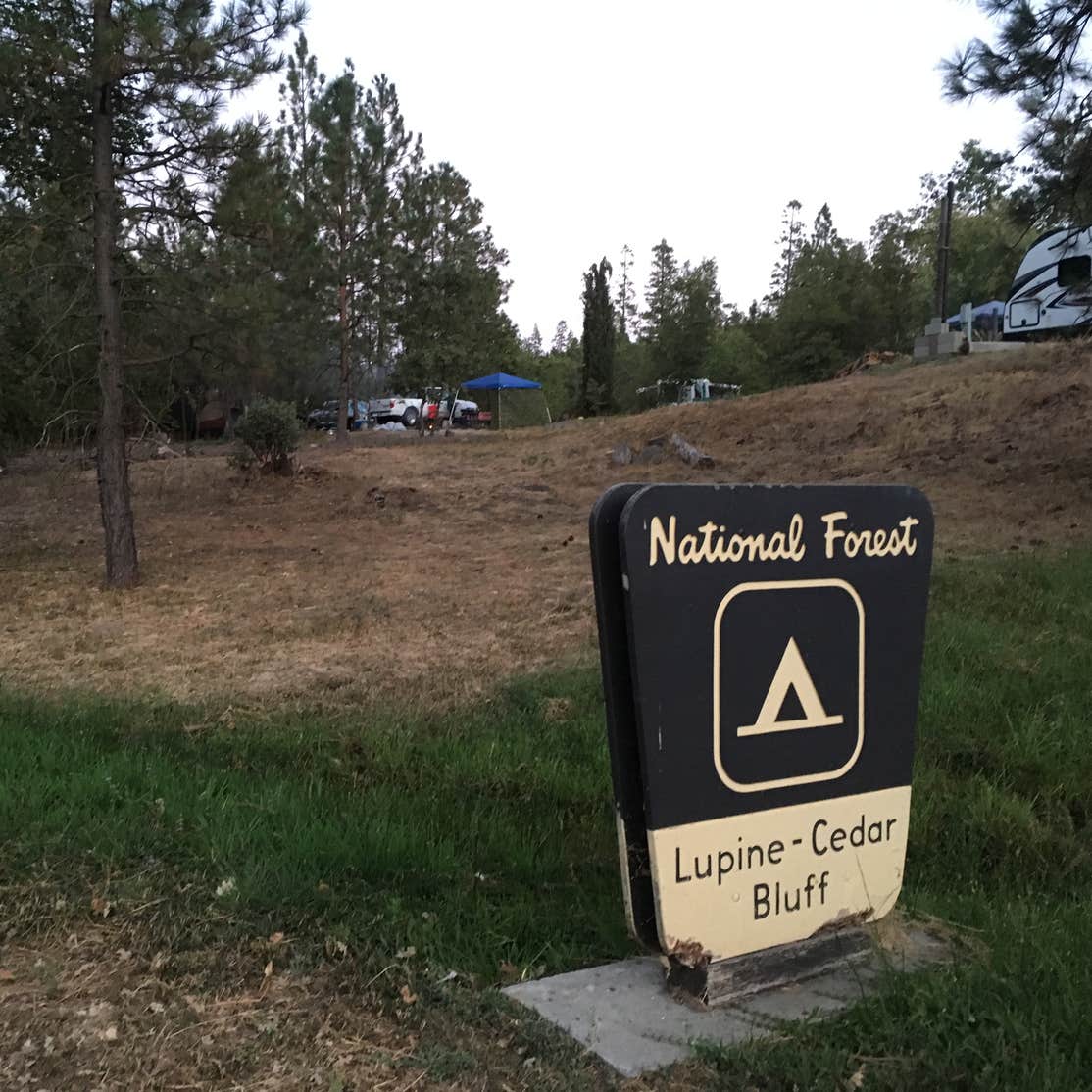 Lupine/Cedar Bluff Campground | Wishon, California