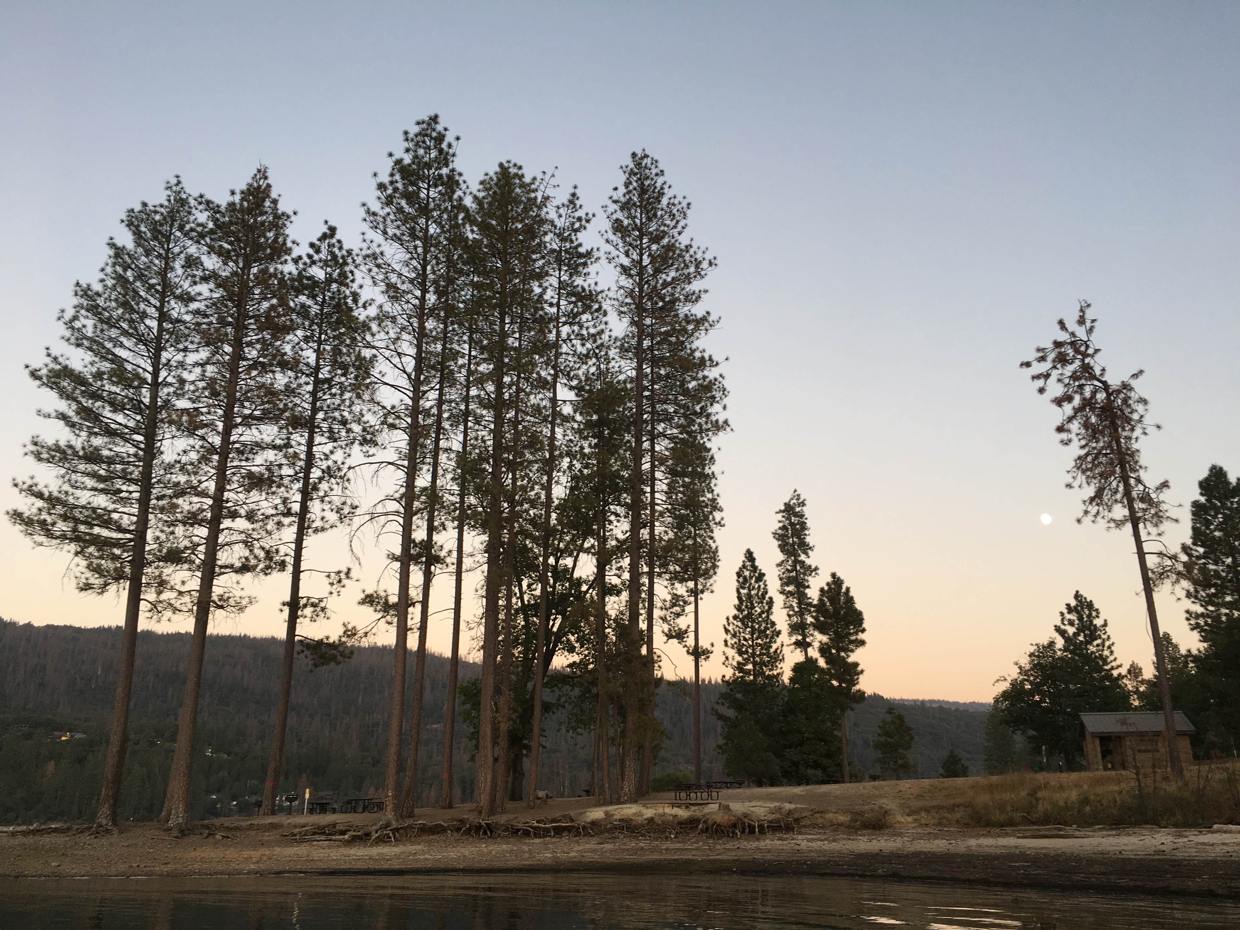 Cedar Bluff Camping | Bass lake, CA