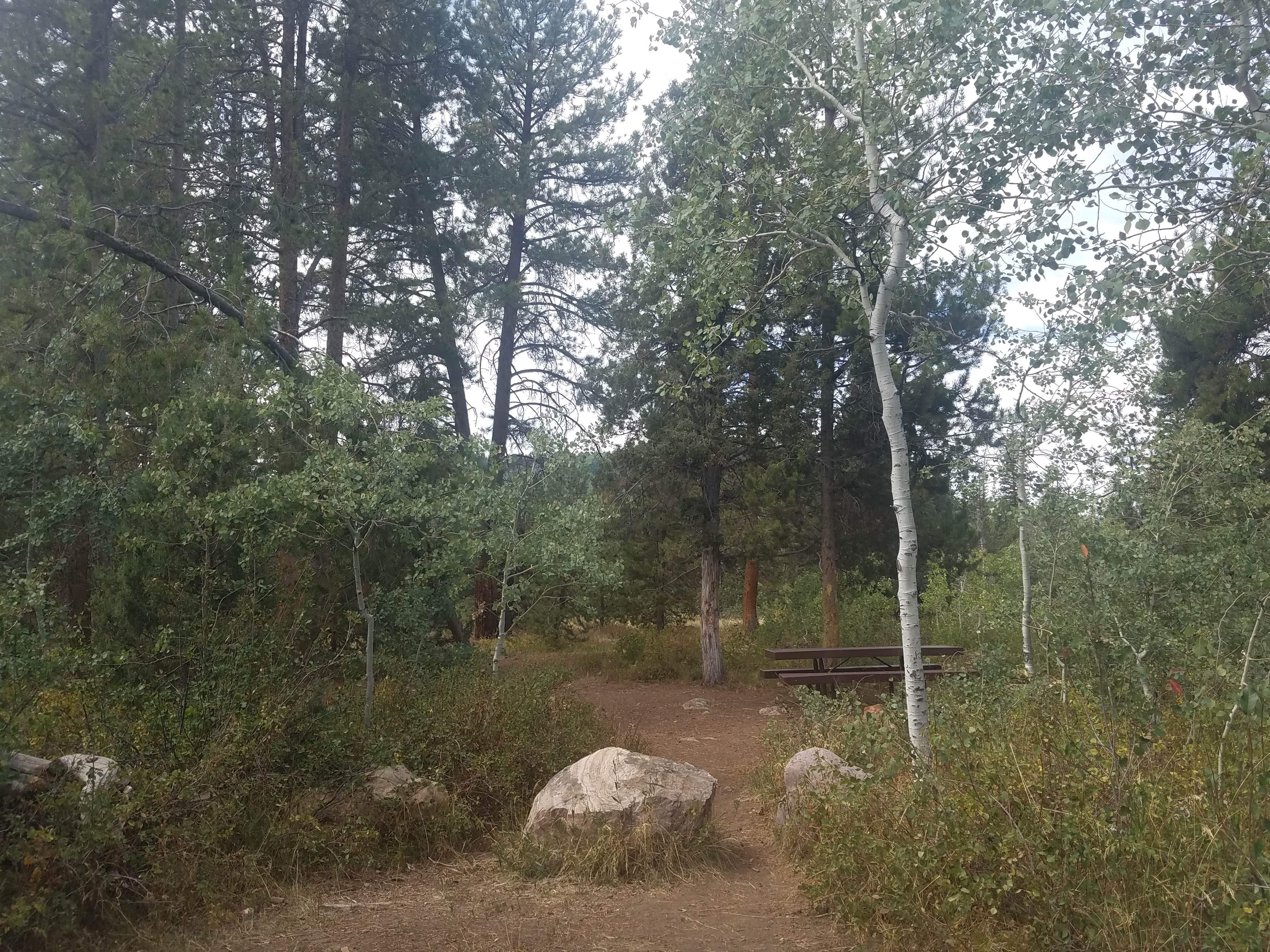 Horsemen Camps Dispersed Camping | Kamas, UT