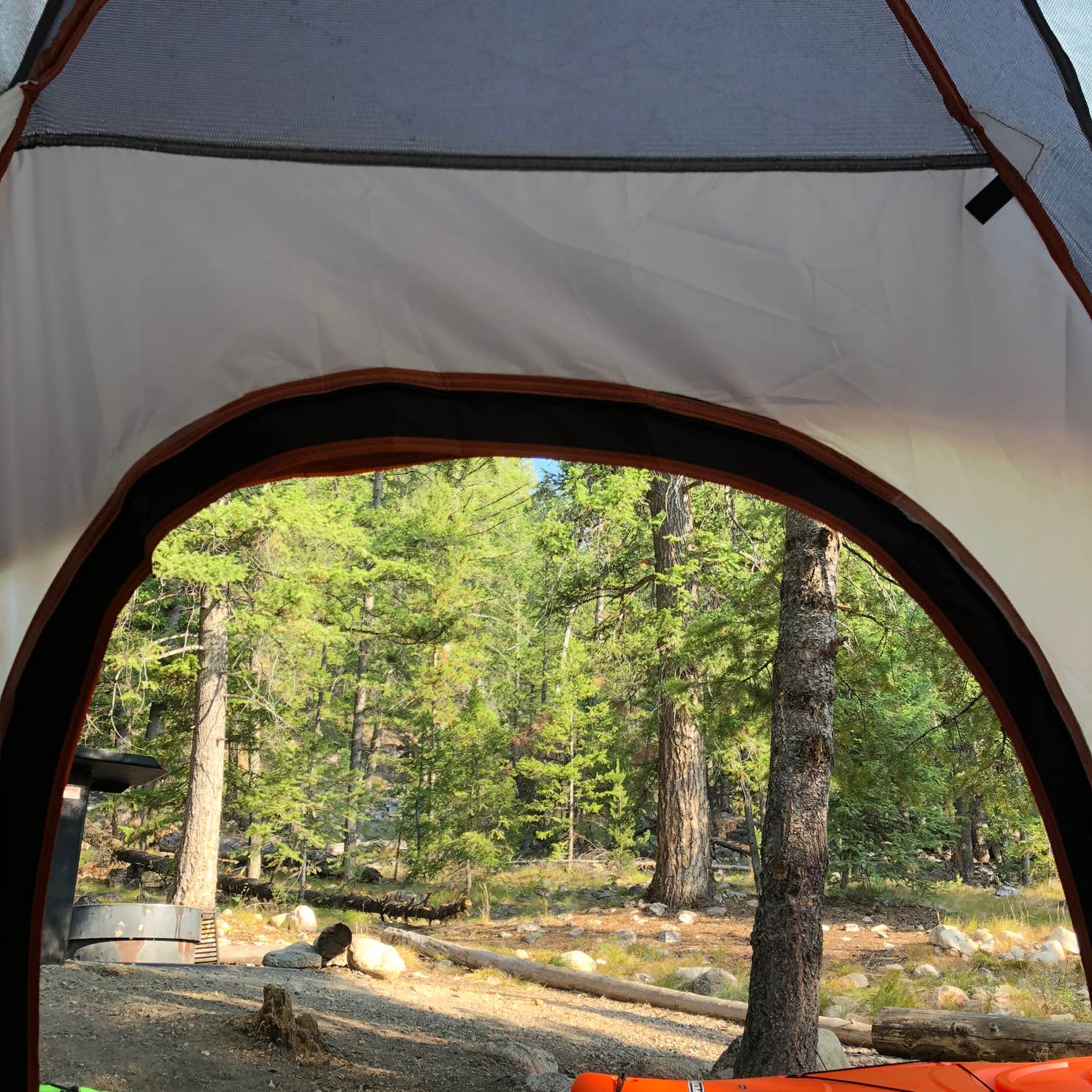 Outlet Campground at Redfish Lake Camping | The Dyrt