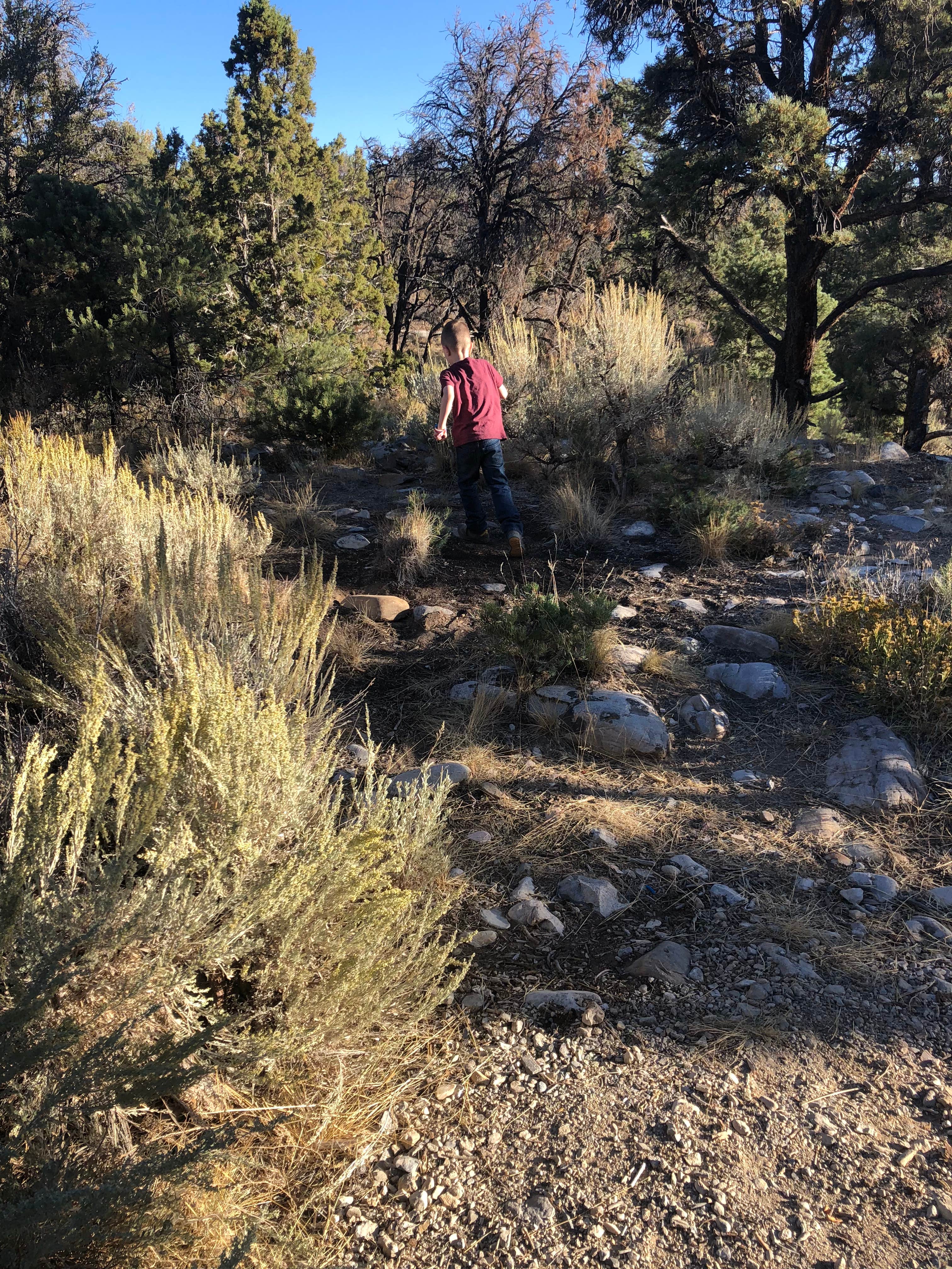 Grey Cliffs Campground | The Dyrt