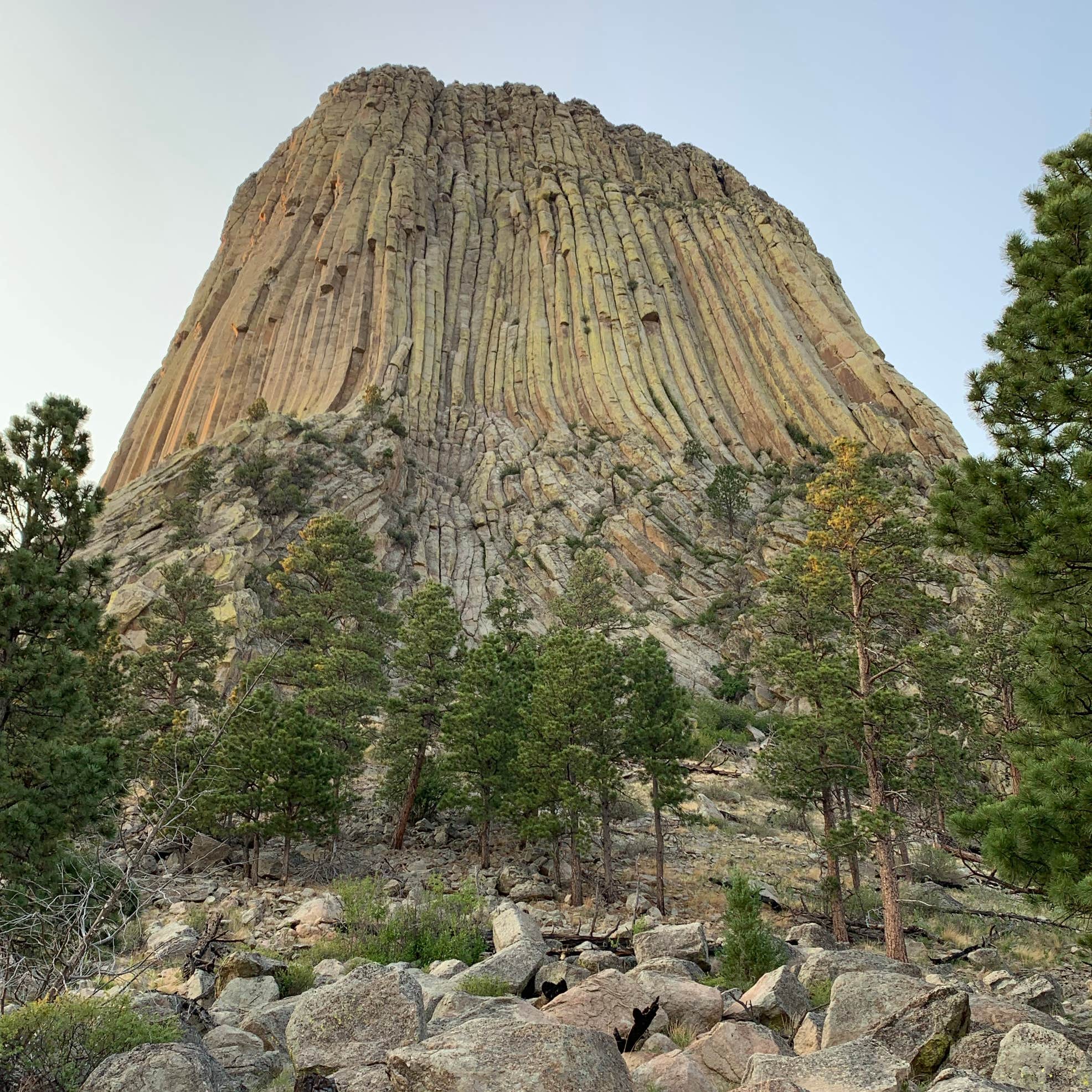 Devils Tower View Campground Camping | The Dyrt