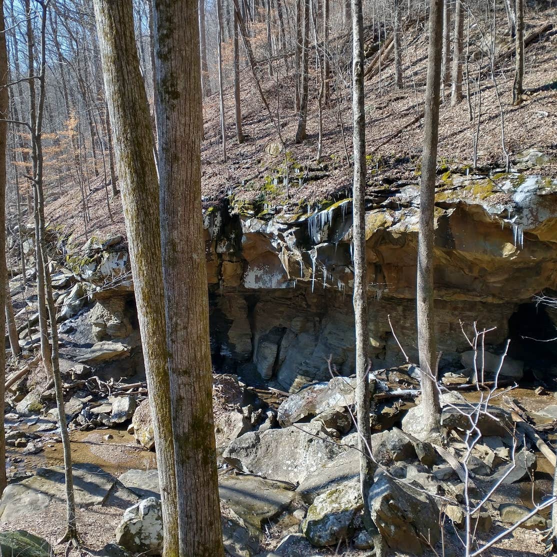 Frozen Head State Park Campground | Wartburg, TN