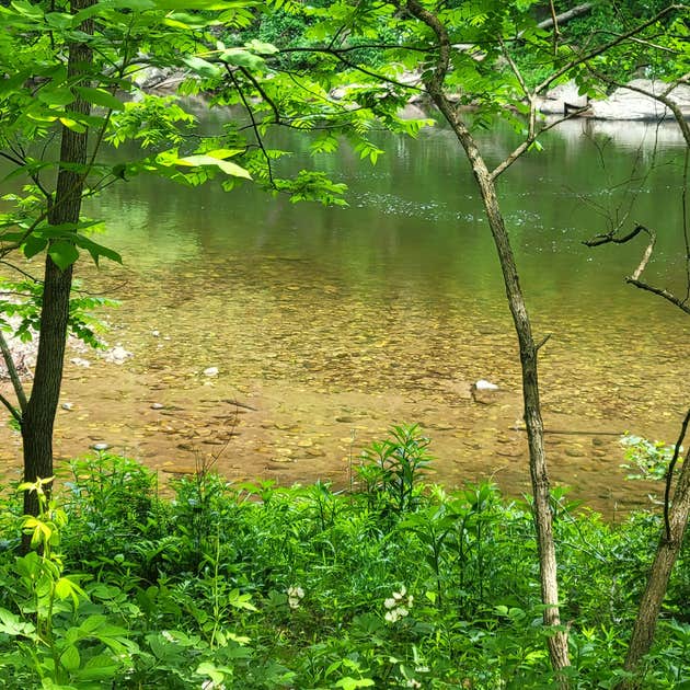 Brooklyn Heights Riverfront Campground Camping | The Dyrt