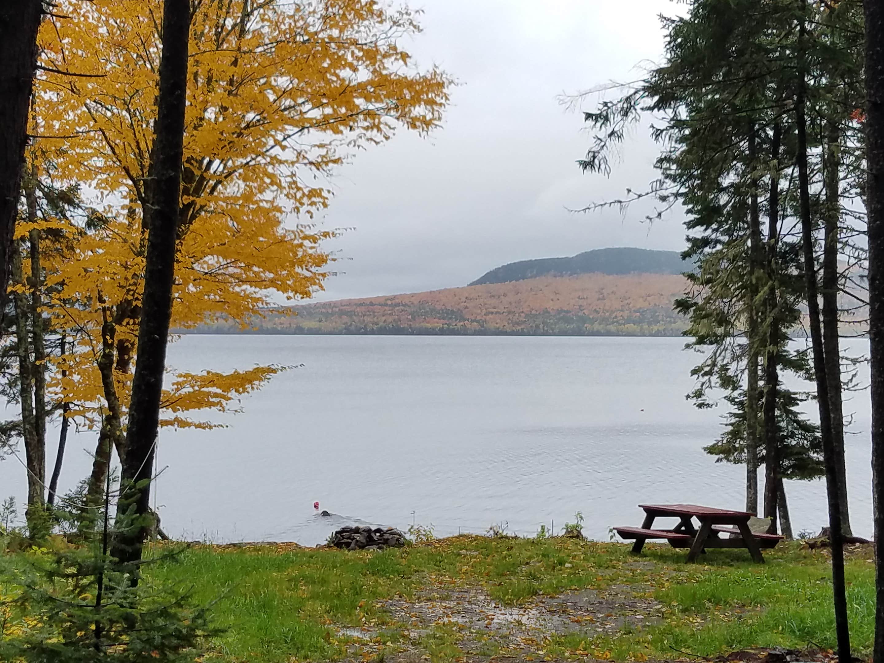 The Birches Resort Camping | Rockwood, ME