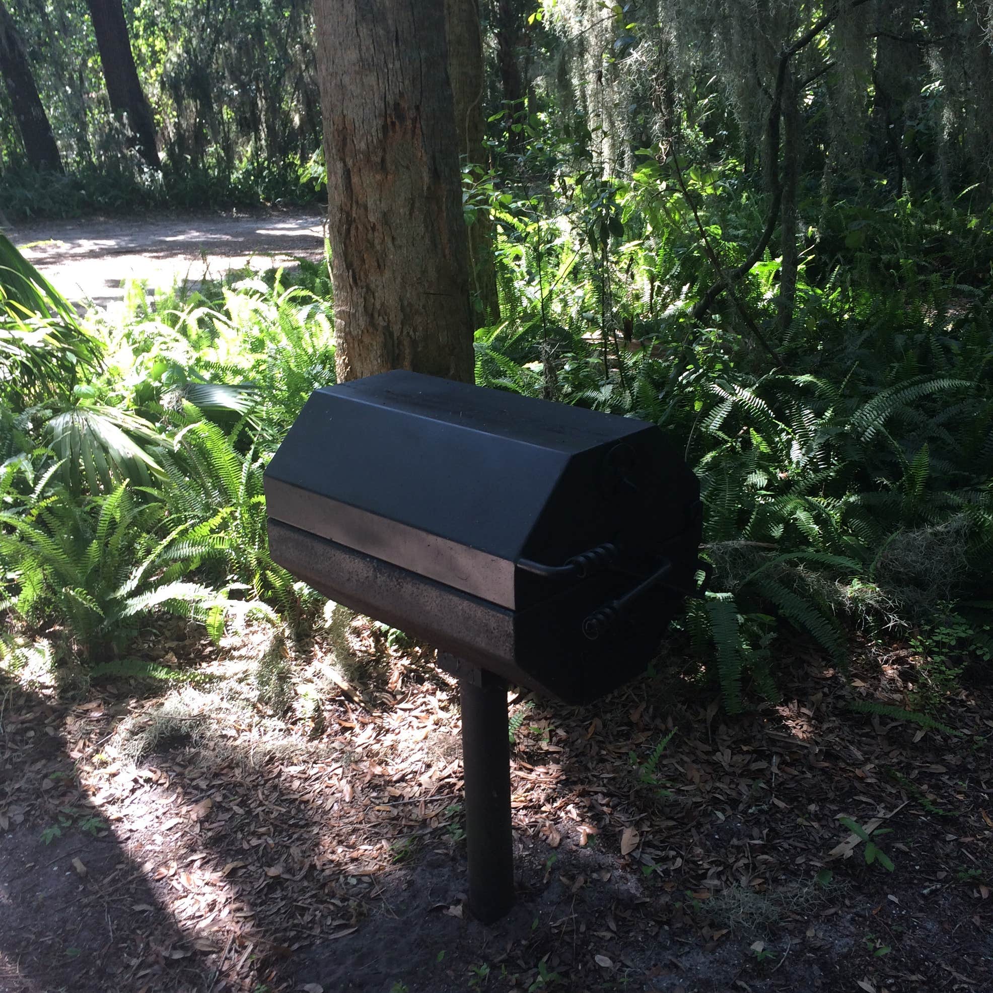 Trimble Park Campground Camping | The Dyrt