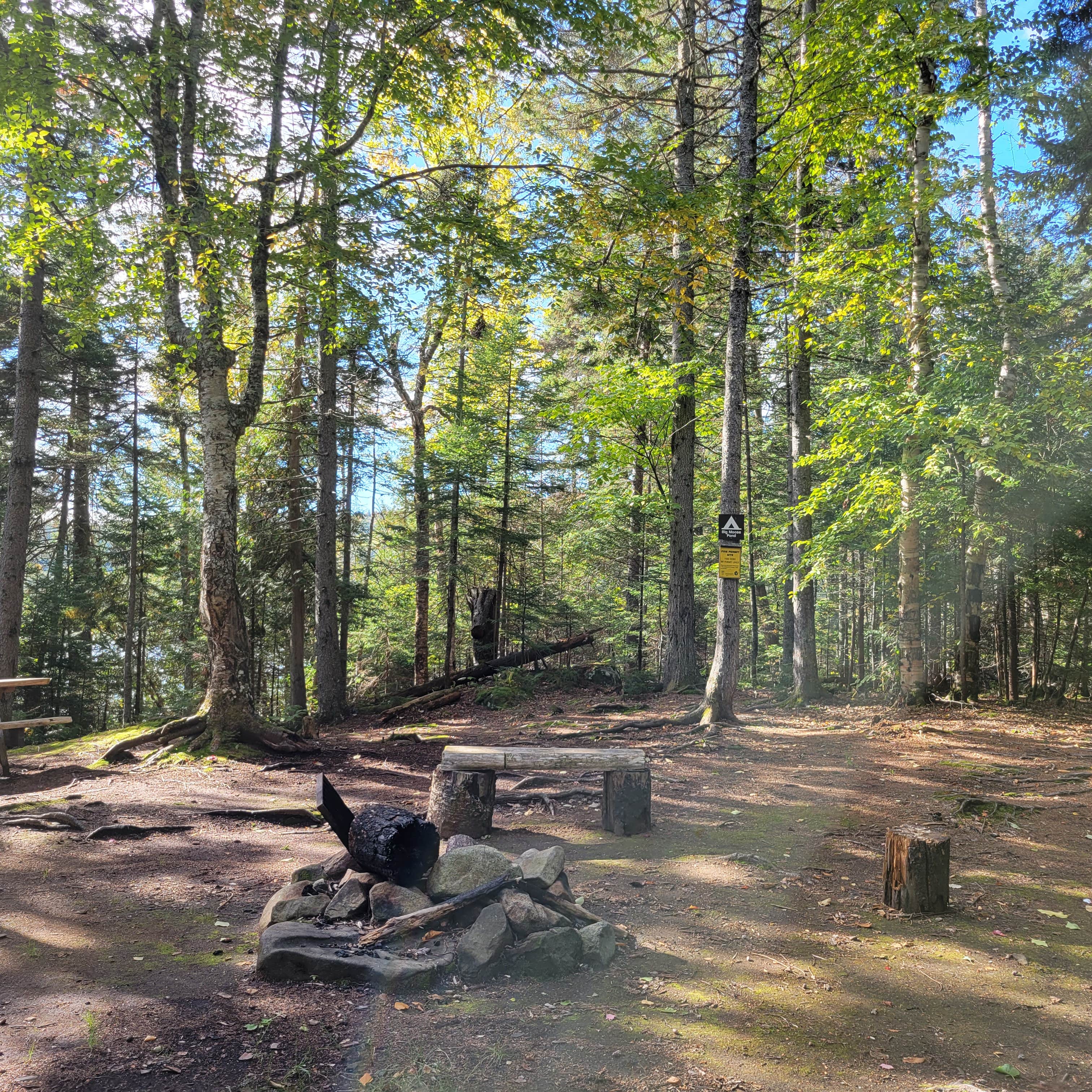 Big Moose Pond Campsite | Greenville Junction, Maine