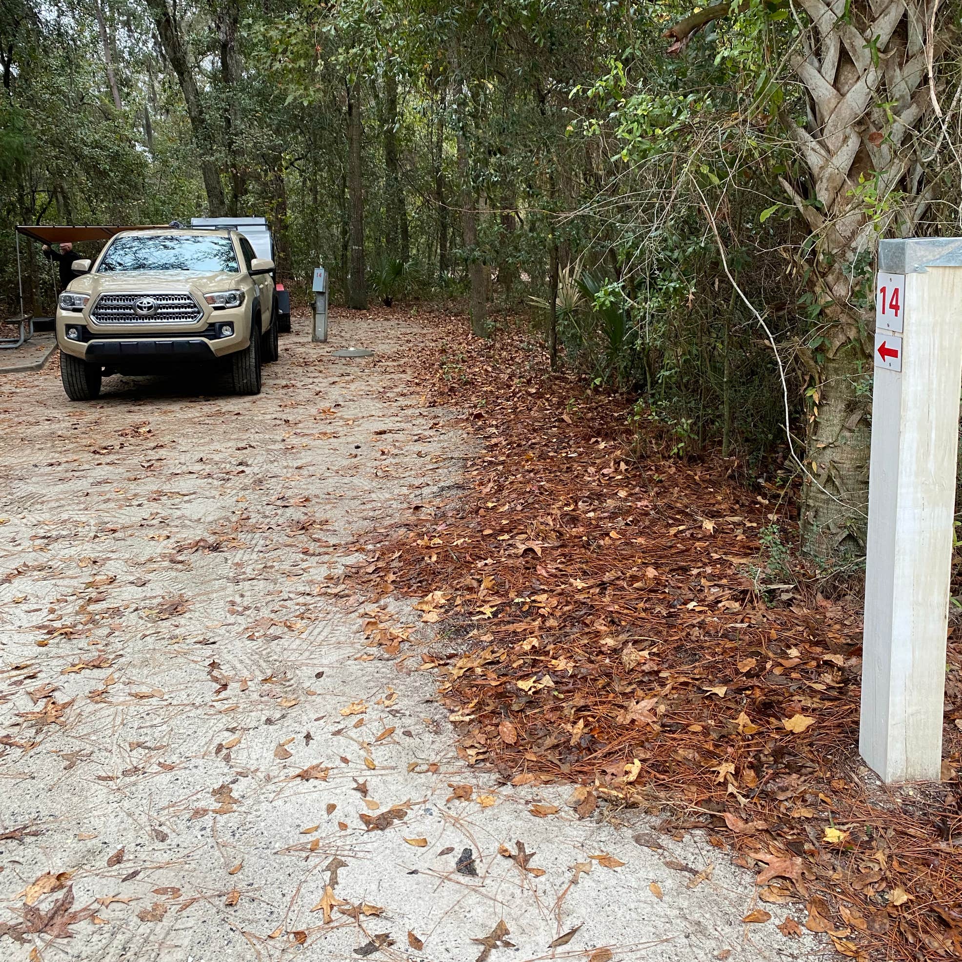 Blythe Island Regional Park Camping | Brunswick, Georgia