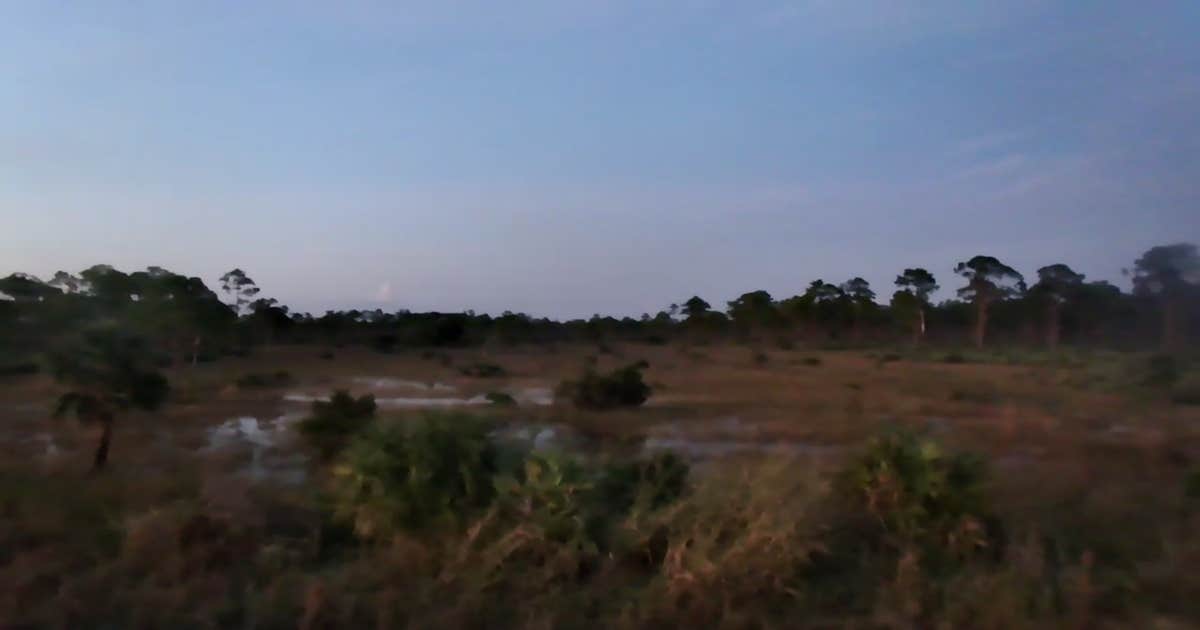 J. W. Corbett WMA Primitive Camp | Palm Beach Gardens, FL