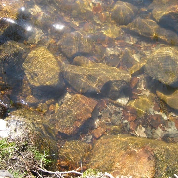 Kettle Pond State Park Campground | Marshfield, VT